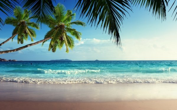 Tropical HD Wallpaper | Background Image | 2272x1466