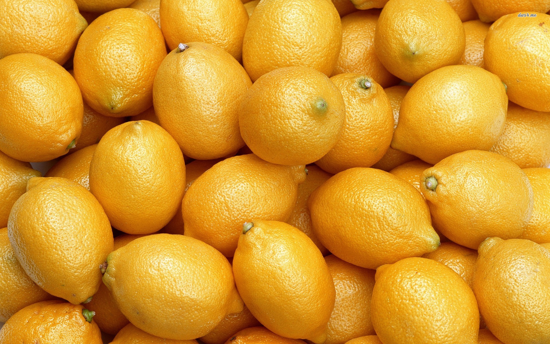 Download Food Lemon HD Wallpaper