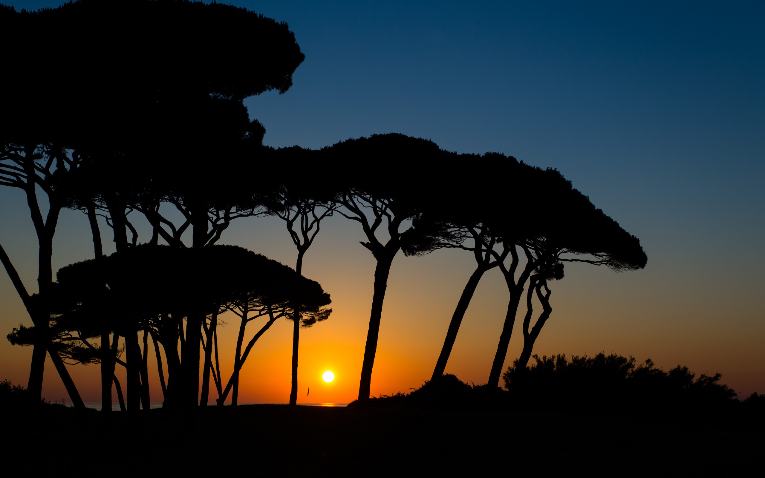 Nature Sunset HD Wallpaper