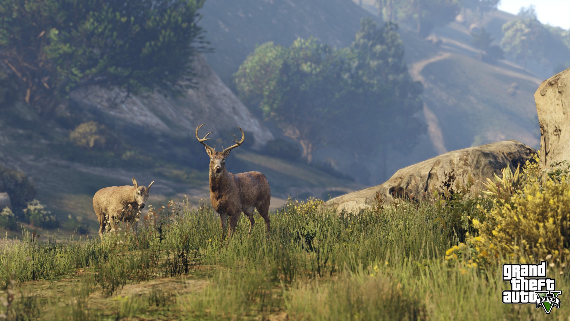 GTA V HD Wallpaper: Scenic Wildlife in the Wild Hills | 1920x1080 ...