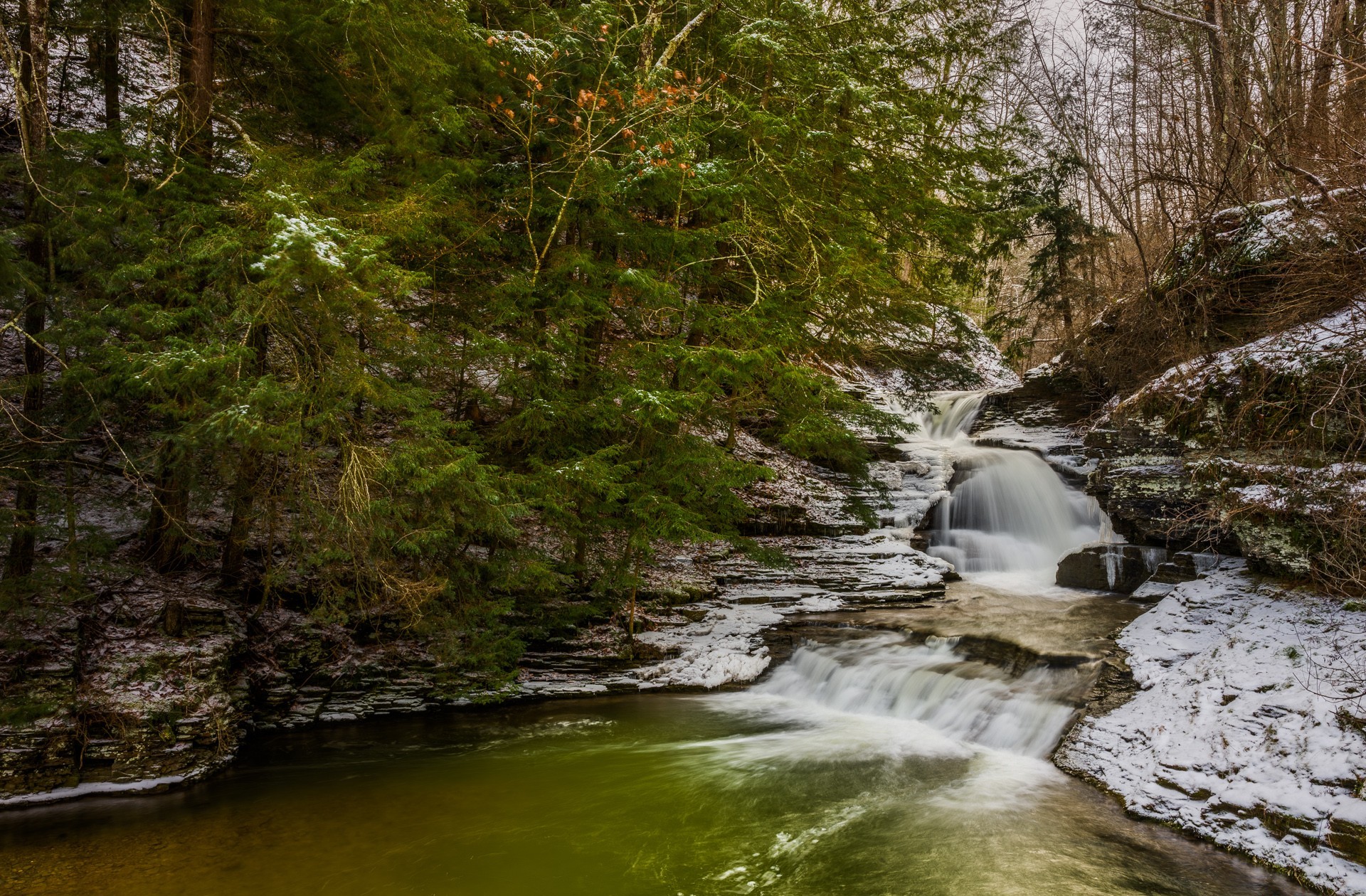 Download Winter Wood Nature Stream HD Wallpaper