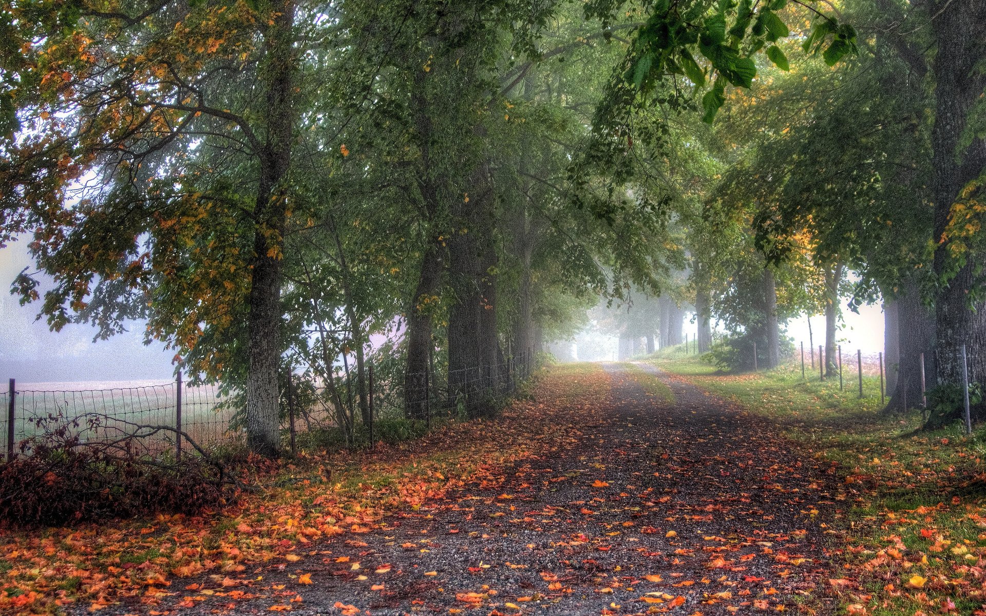 Download Fall Man Made Path HD Wallpaper