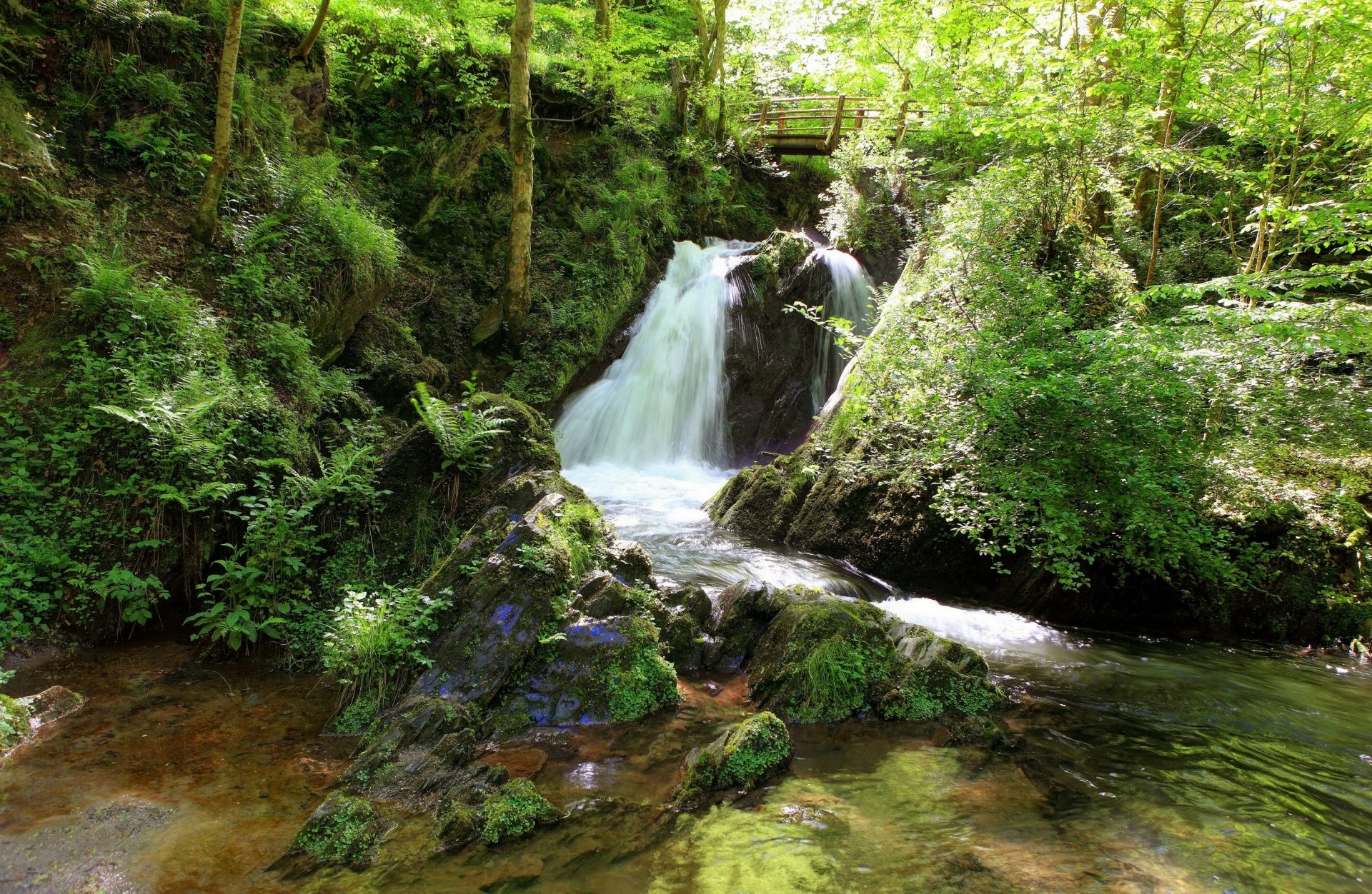 Download Bridge Nature Waterfall HD Wallpaper