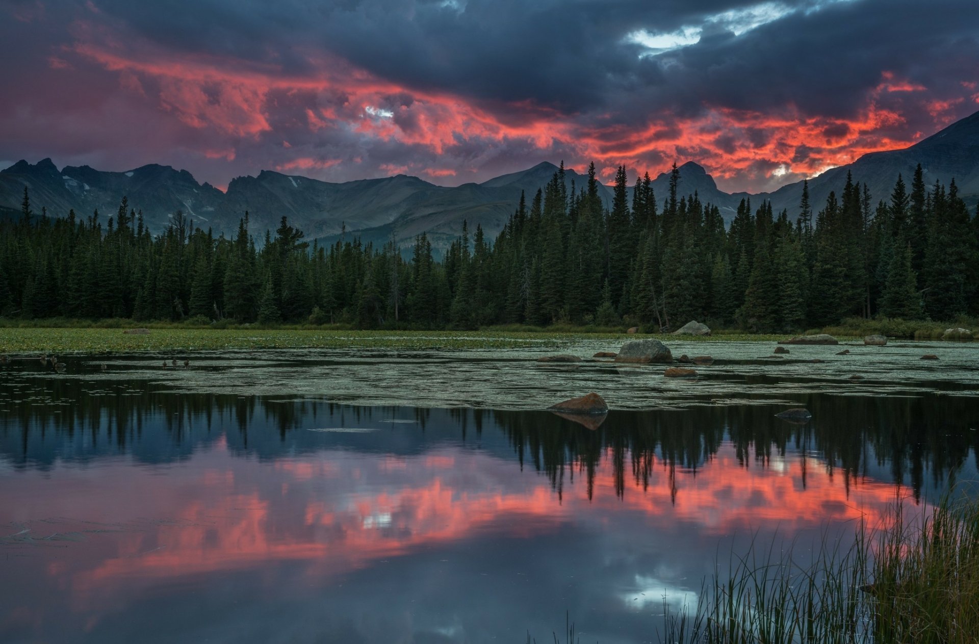 Crimson Cloud Mirror — Mountain Lake & Forest at Dusk (HD Wallpaper)