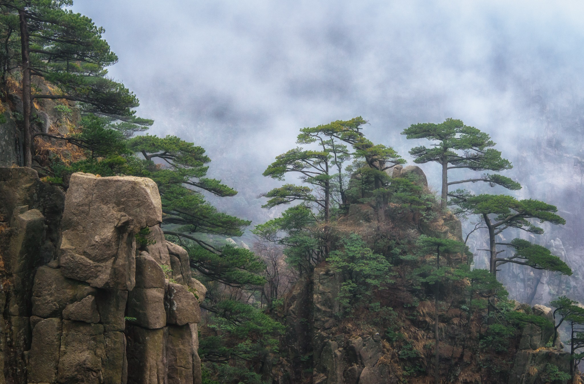 Download Fog Tree Mountain Nature Rock HD Wallpaper