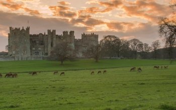 Raby Castle HD Wallpaper | Background Image | 1920x1080 | ID:551420 ...