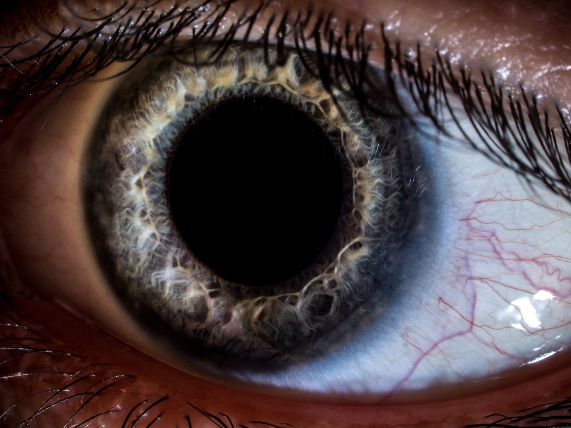 4K Ultra HD Artistic Eye: A Mesmerizing Close-Up Vision