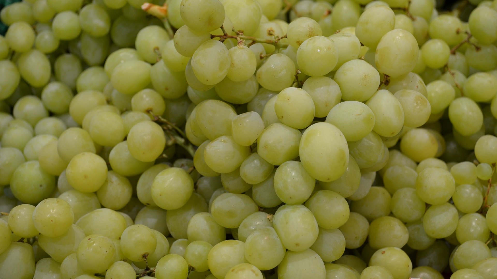 Green Seedless Grapes by lonewolf6738
