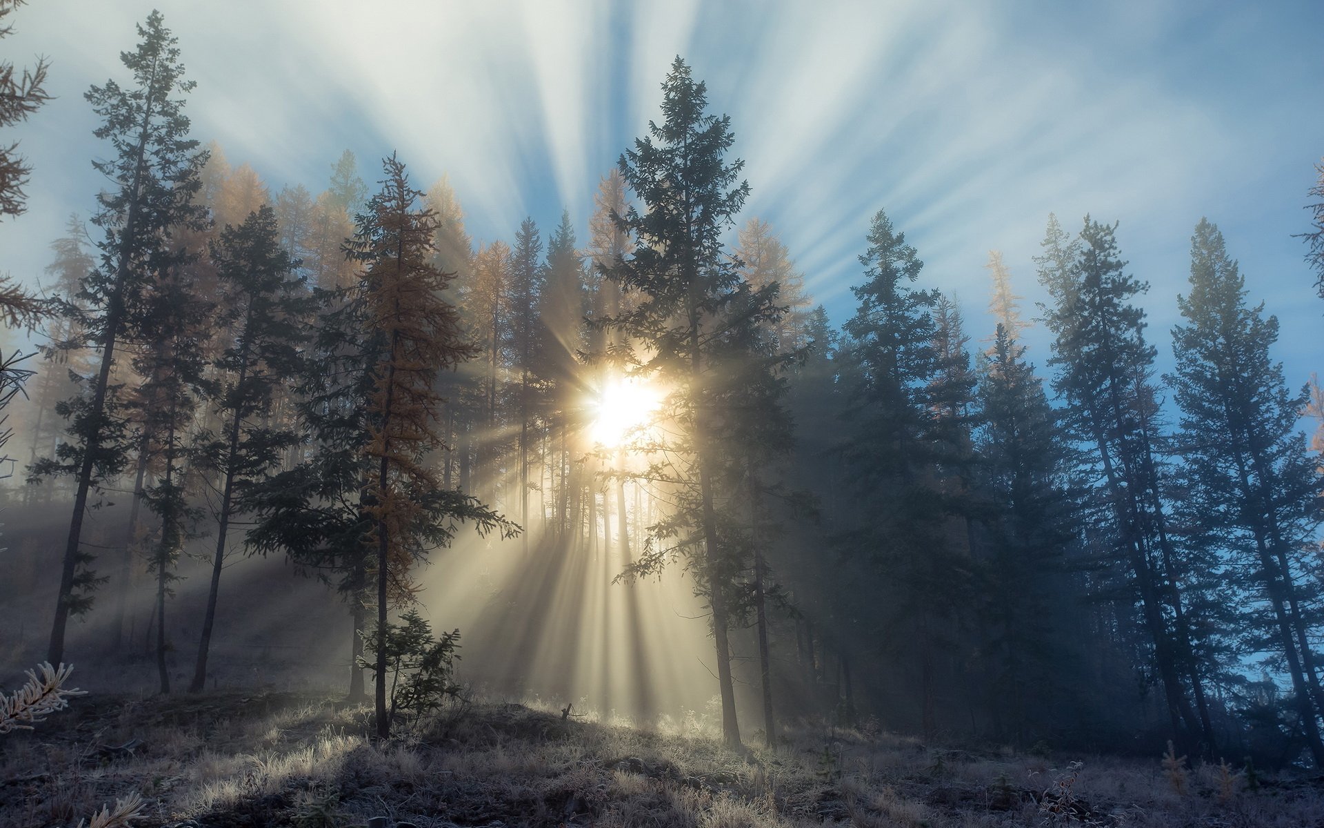 Sunbeam Serenity: Stunning Nature HD Wallpaper