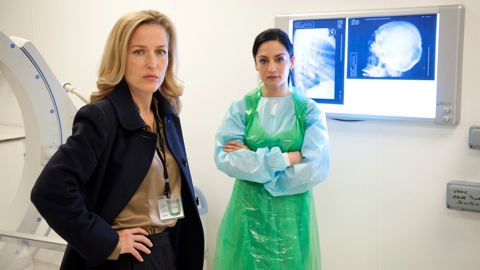 Download TV Show The Fall HD Wallpaper