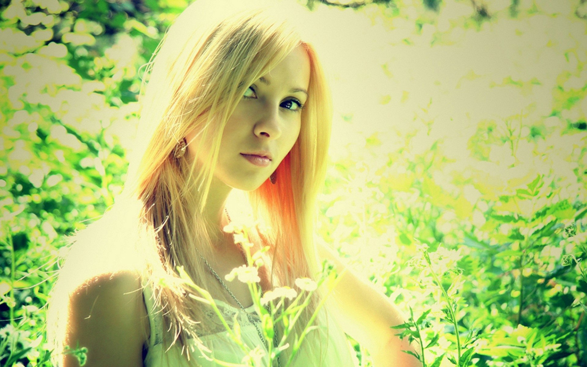 Novaspace Wallpapers