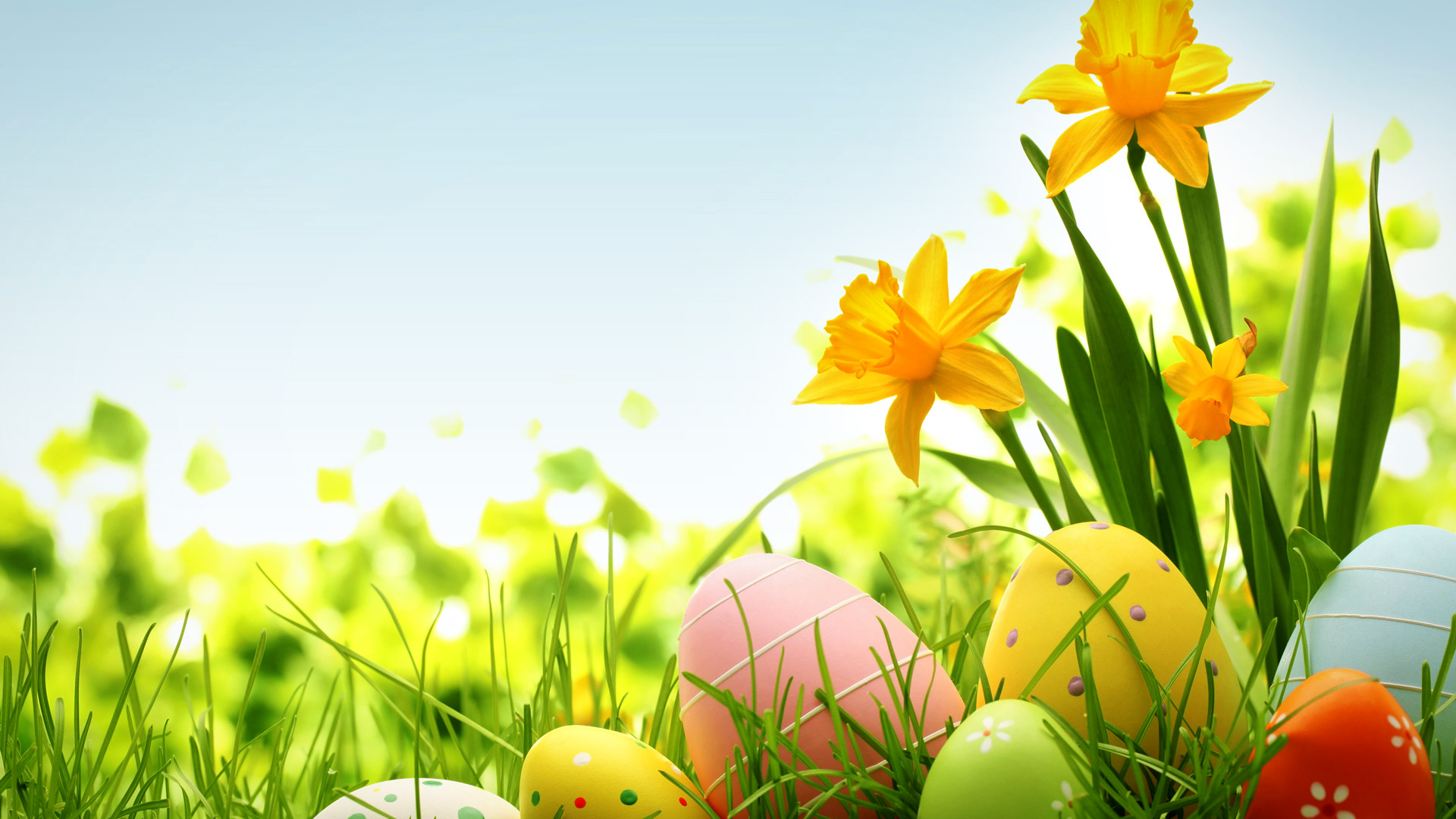 Easter Holiday HD: Vibrant Eggs & Blooming Daffodils Wallpaper