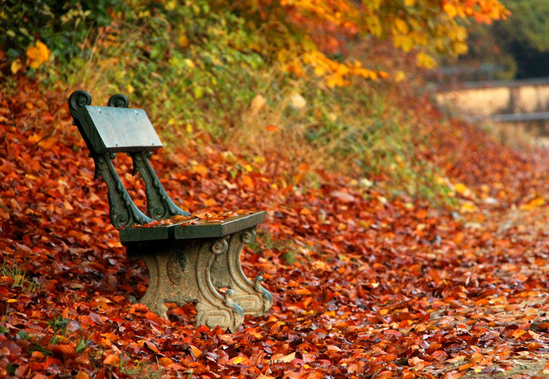 Download Man Made Bench 4k Ultra HD Wallpaper
