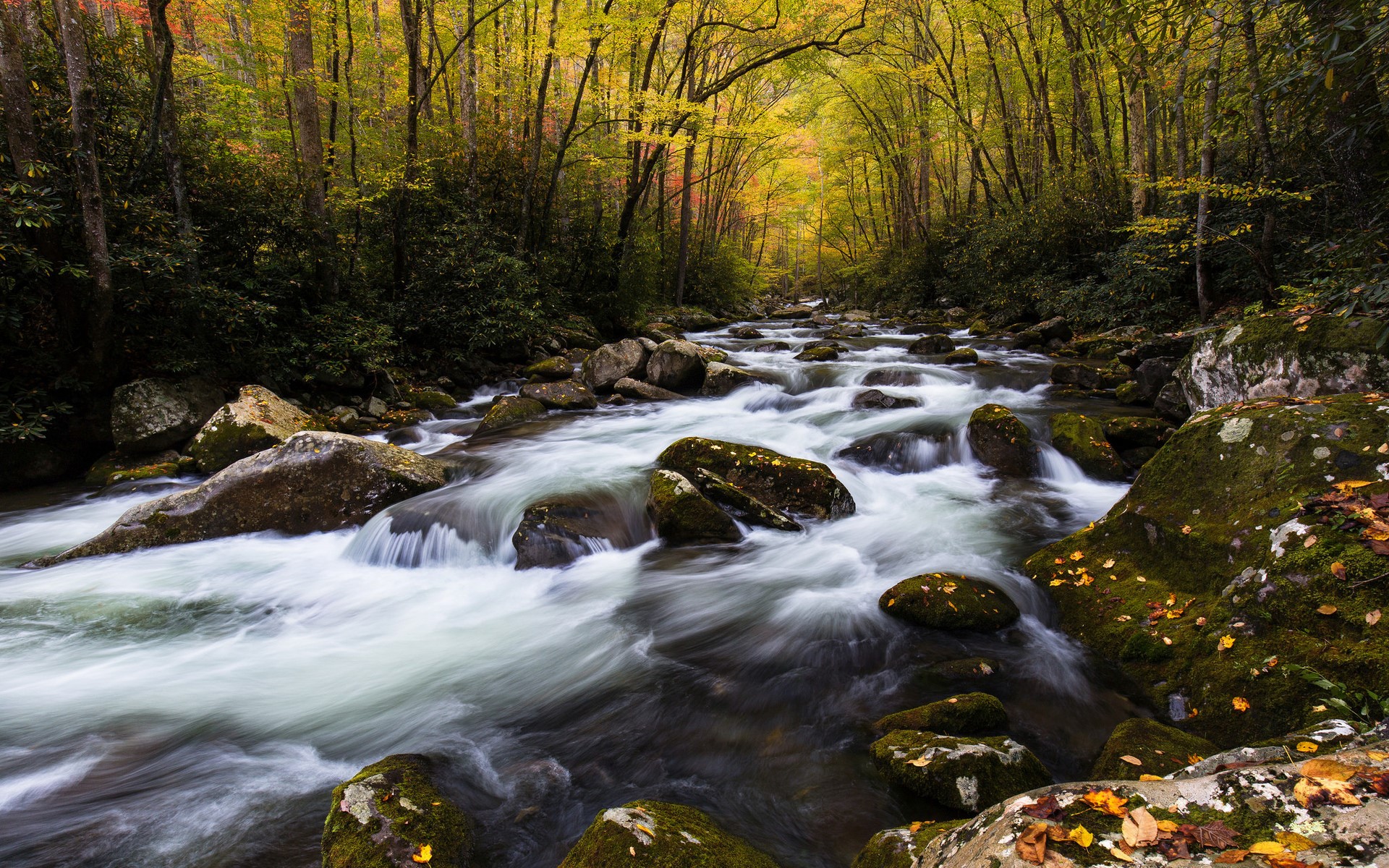 Download Nature River HD Wallpaper