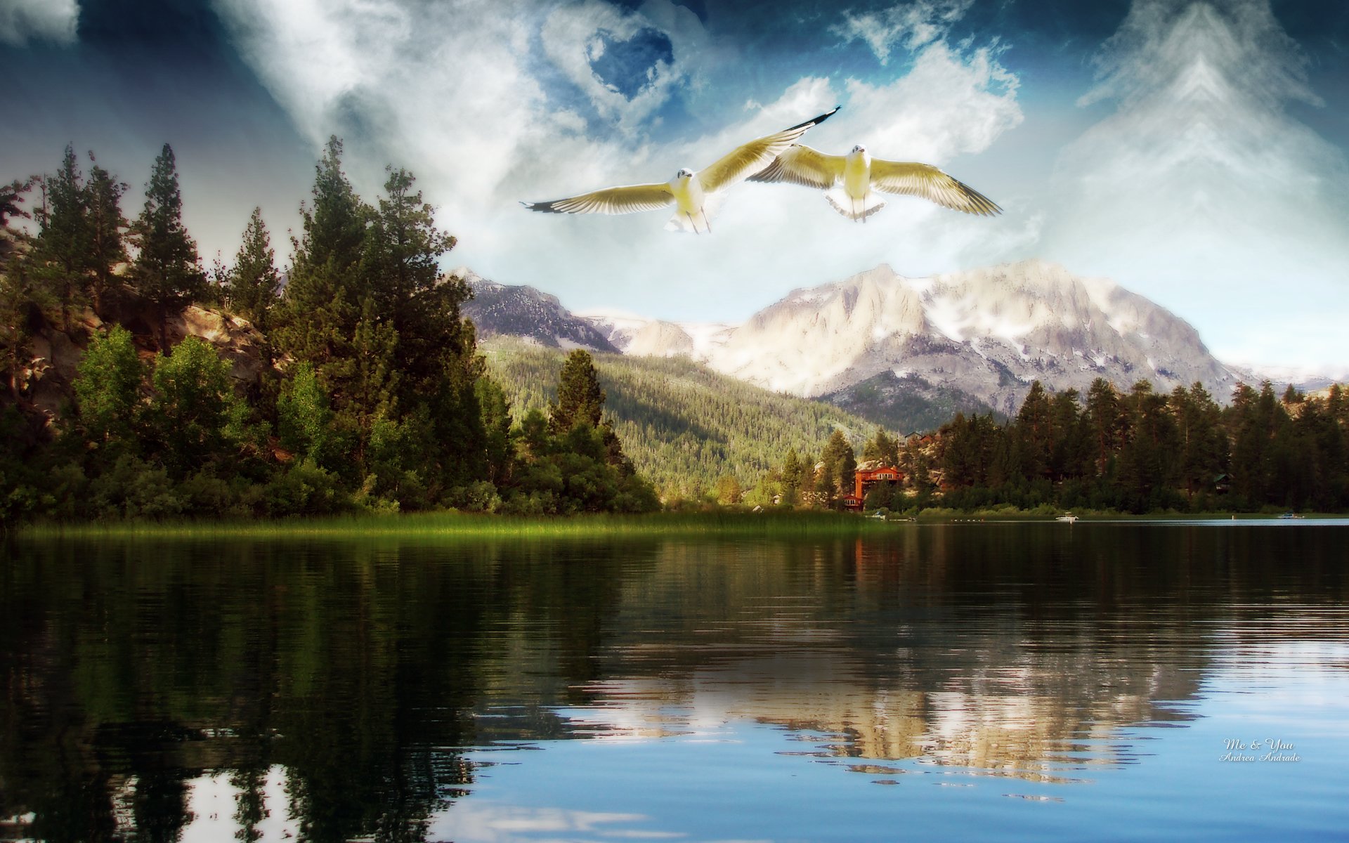 HD Artistic Landscape: Serene Flight Over Mountain Lake by Andrea Andrade