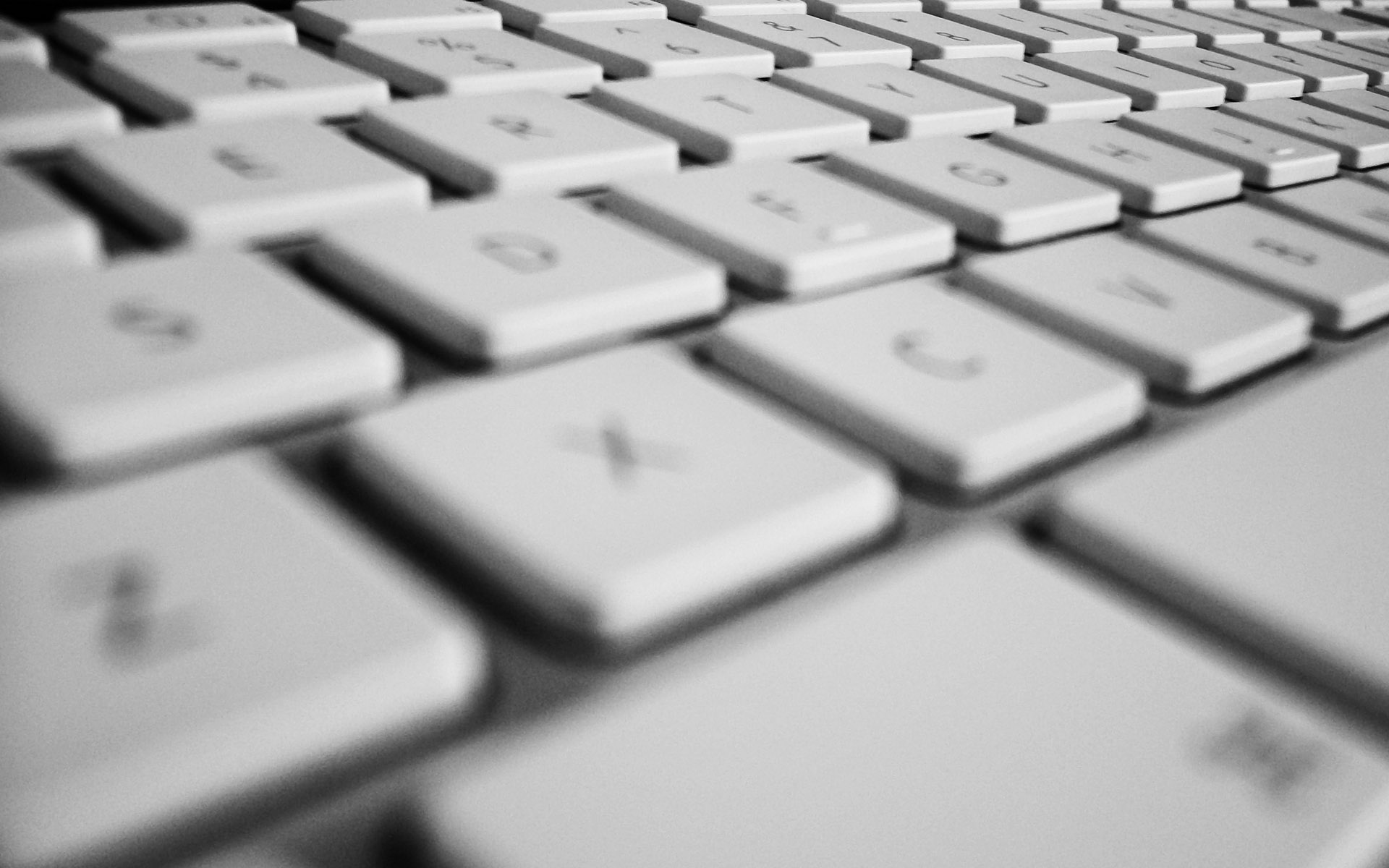 Download Photography Close-up HD Wallpaper