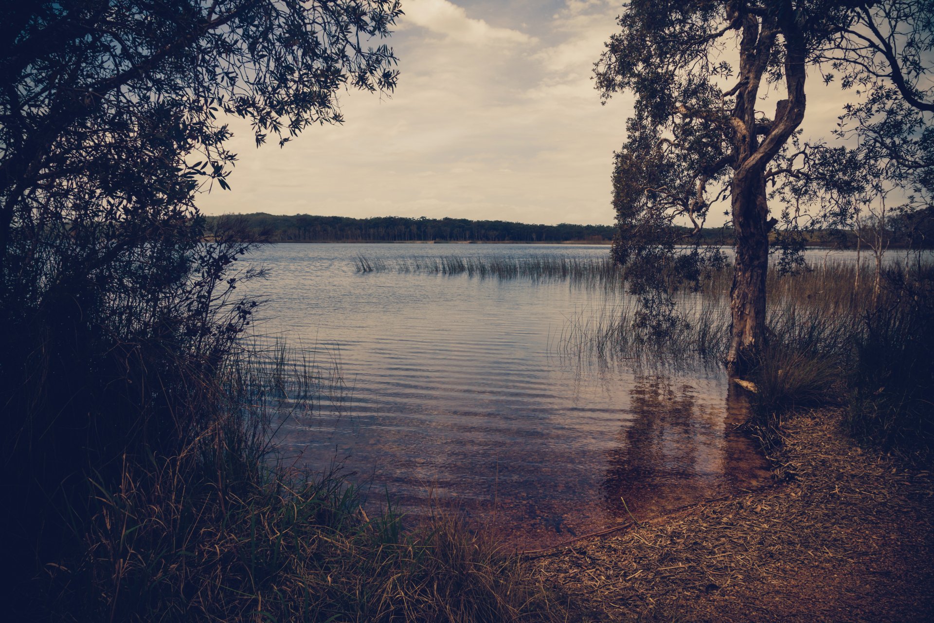 Download Nature River 4k Ultra HD Wallpaper | 5616x3744 | Wallpaper Abyss