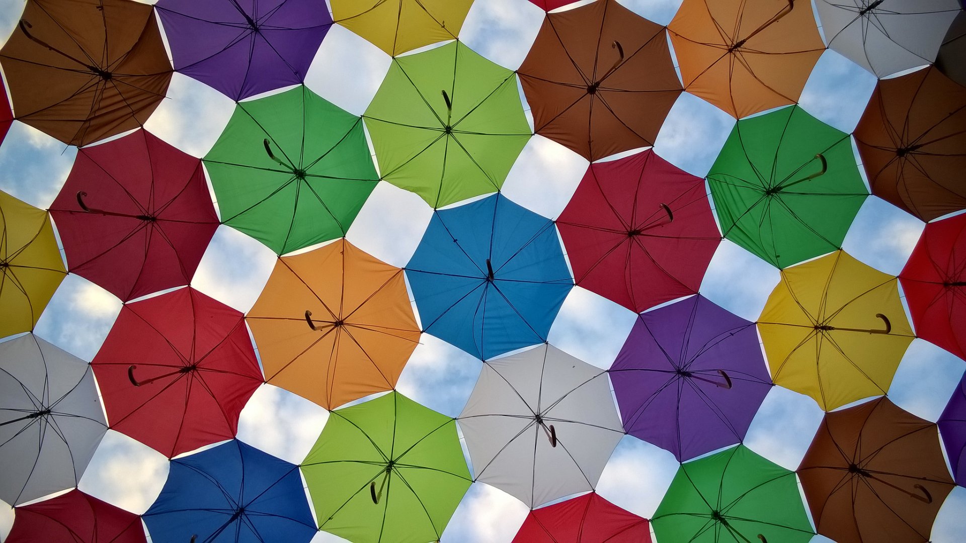 Vibrant Umbrella Canopy HD Wallpaper by David Detko