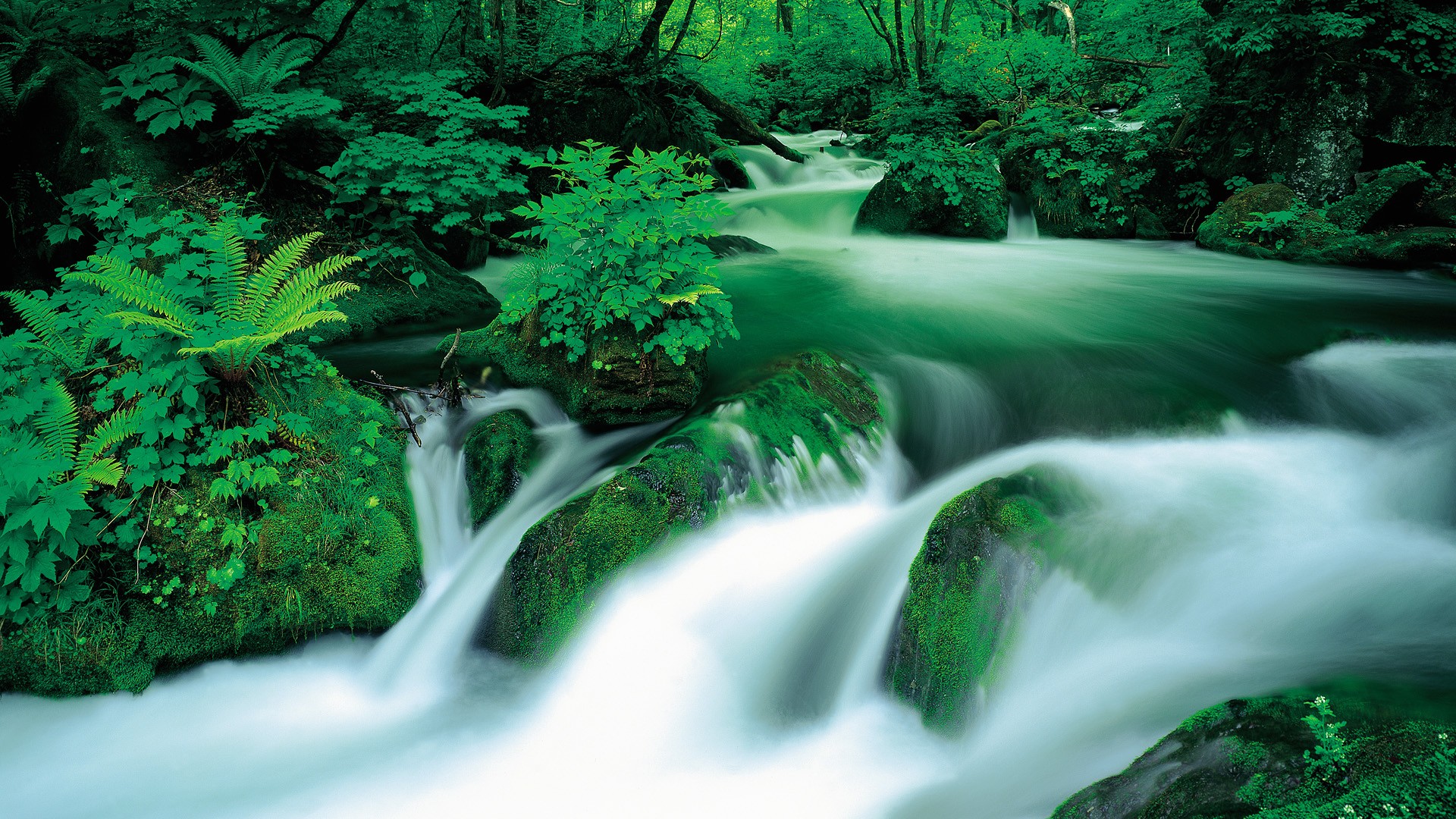 Download Nature Stream HD Wallpaper