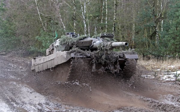 Leopard 2 - Desktop Wallpapers, Phone Wallpaper, PFP, Gifs, and More!