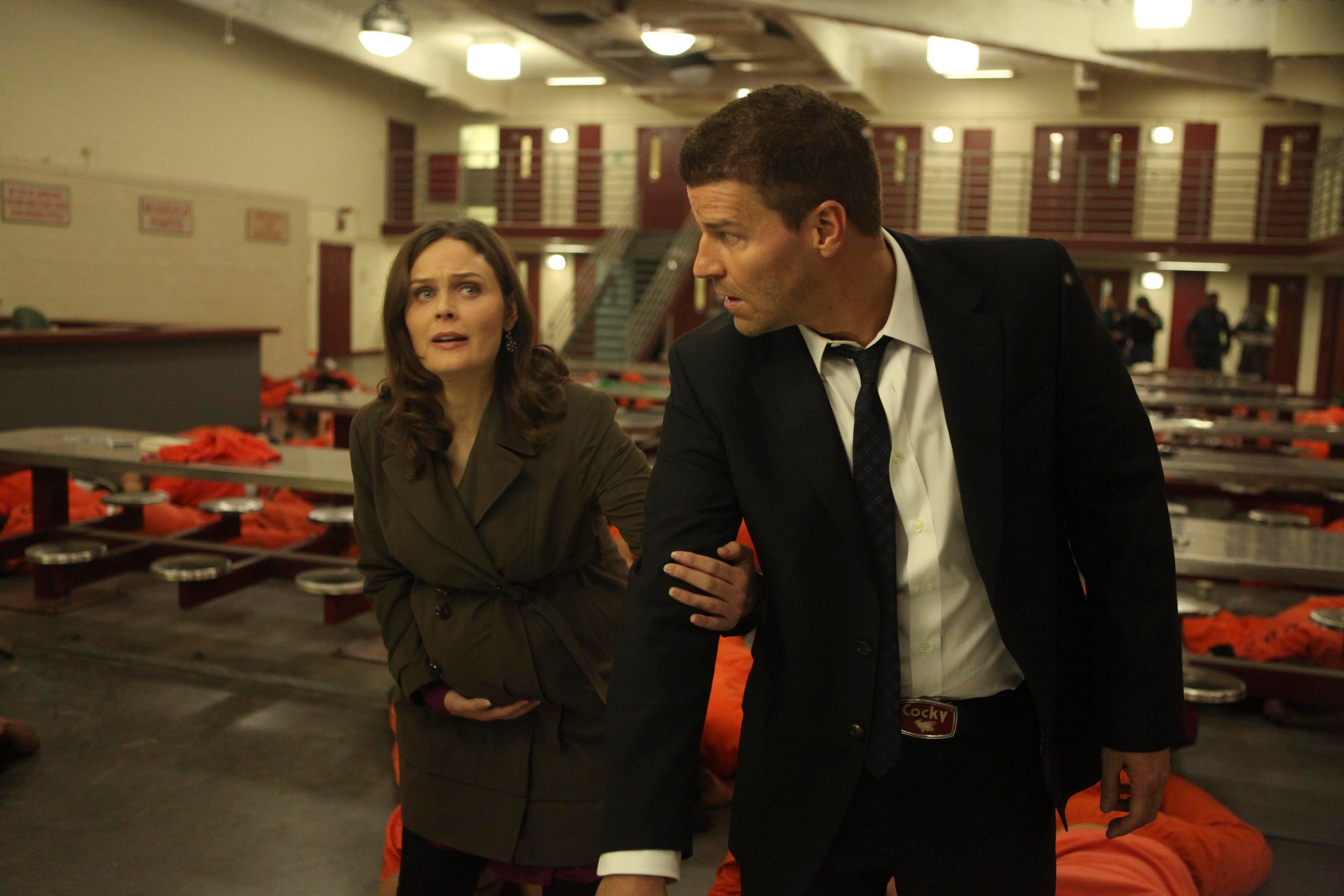 Download Emily Deschanel Temperance Brennan Seeley Booth David Boreanaz ...