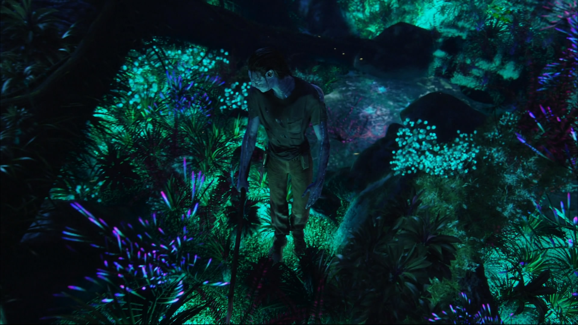 Avatar HD Wallpaper | Background Image | 1920x1080 | ID:642166 ...