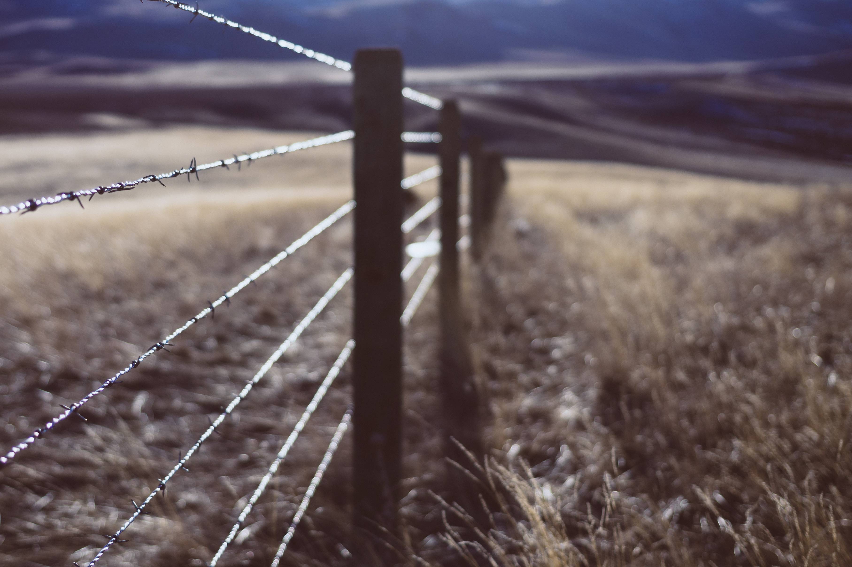 Download Man Made Fence HD Wallpaper