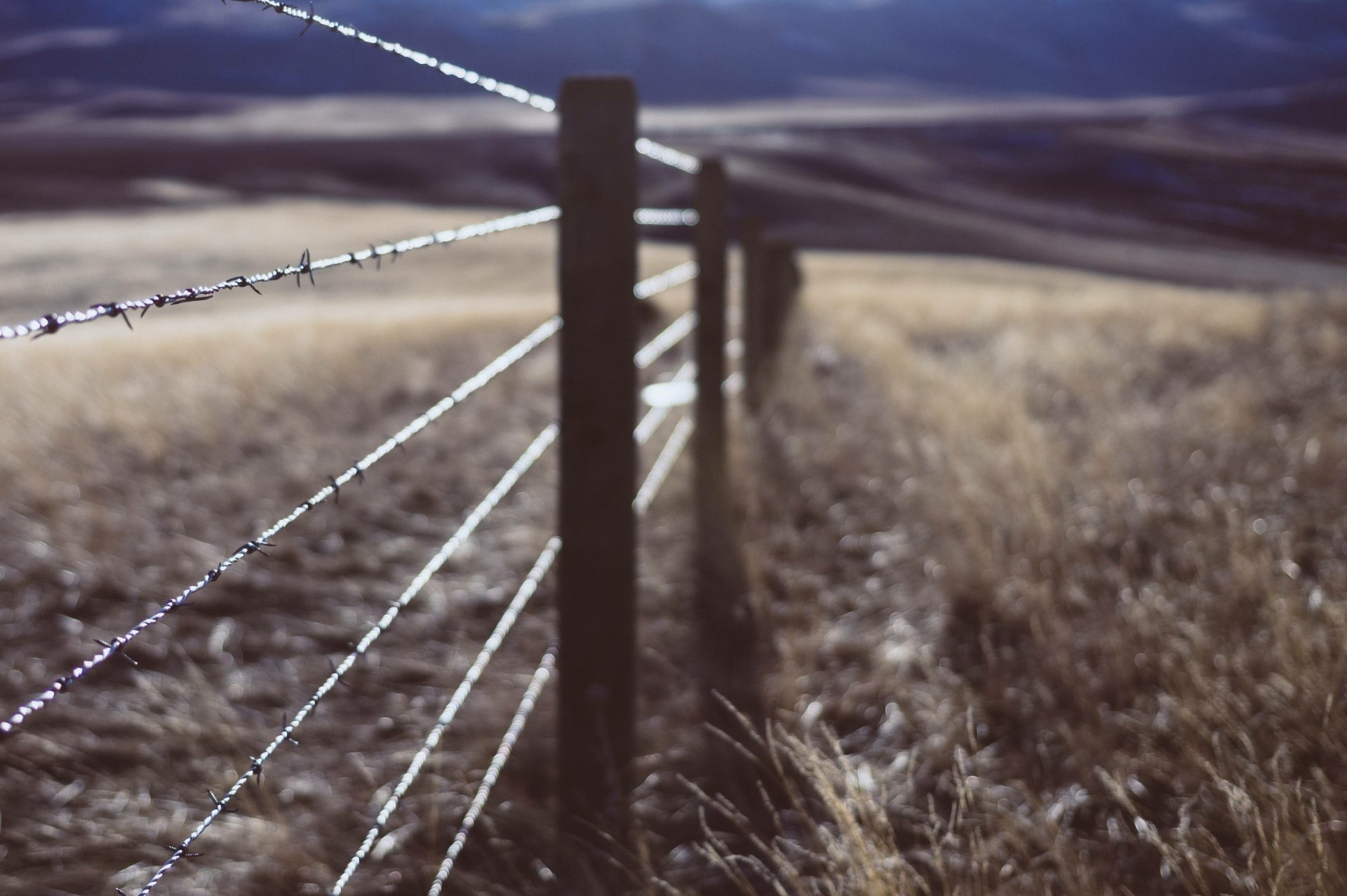 Download Man Made Fence HD Wallpaper