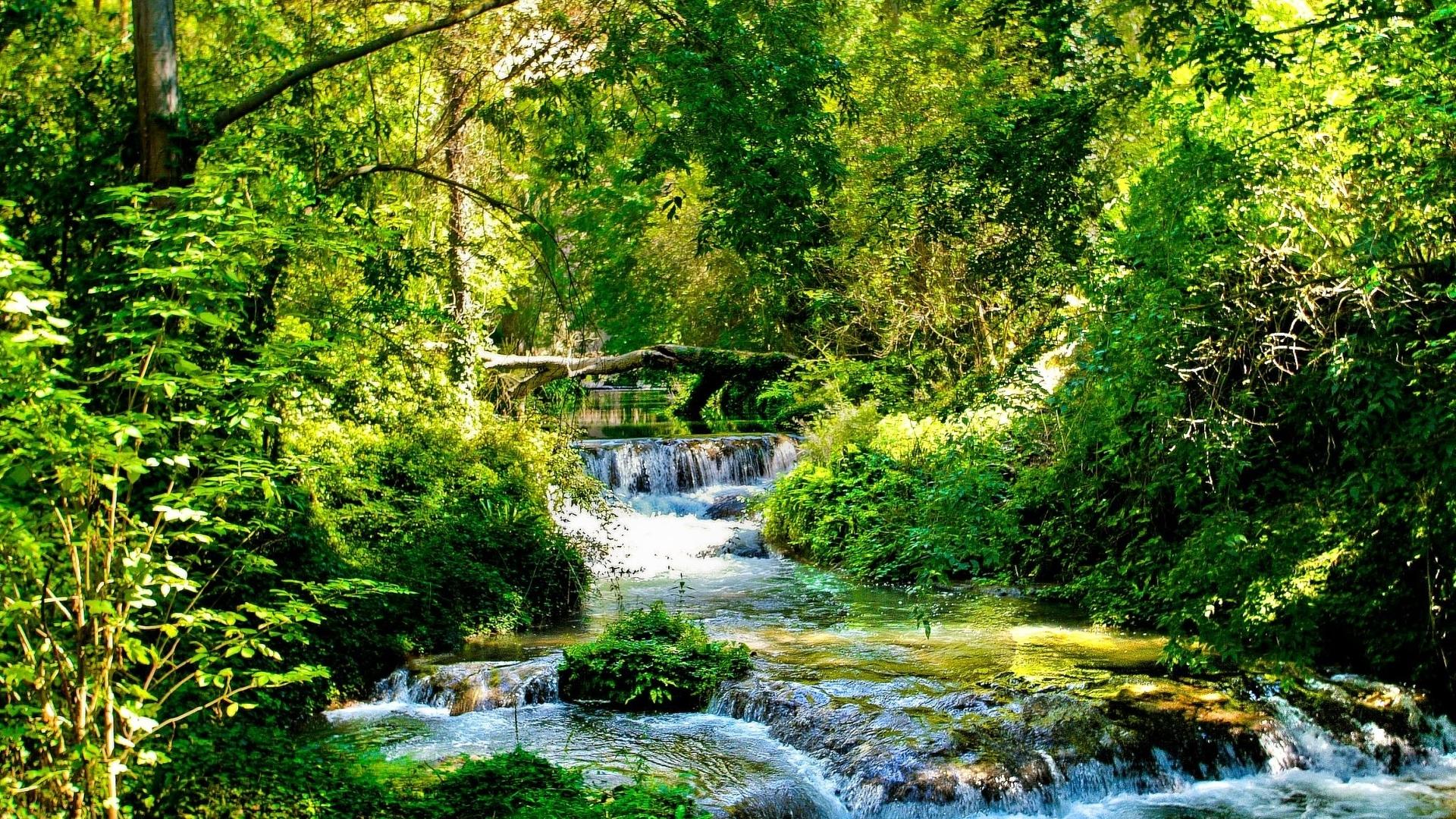 Download Nature Stream HD Wallpaper