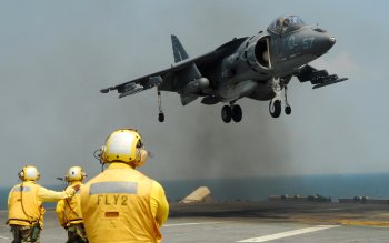 Eva-Marie Ramsaran At Alpha Coders