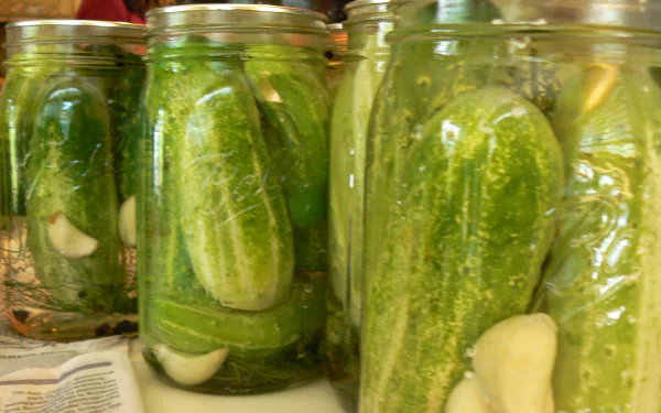 [20+] Pickle Wallpapers