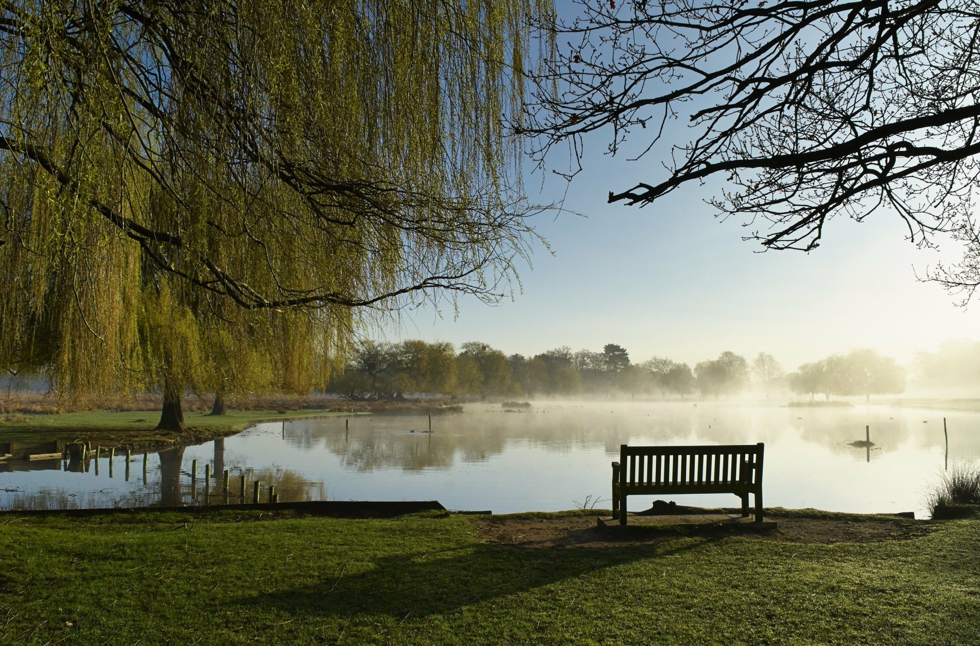 2K Quad HD — Lakeside Bench at Dawn