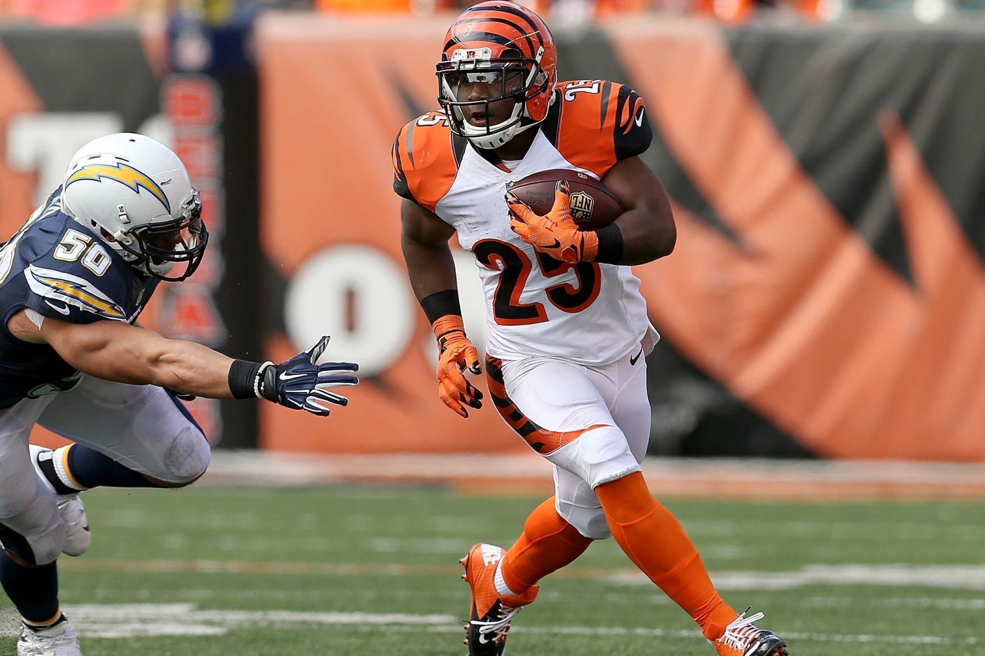 Download Cincinnati Bengals Sports HD Wallpaper