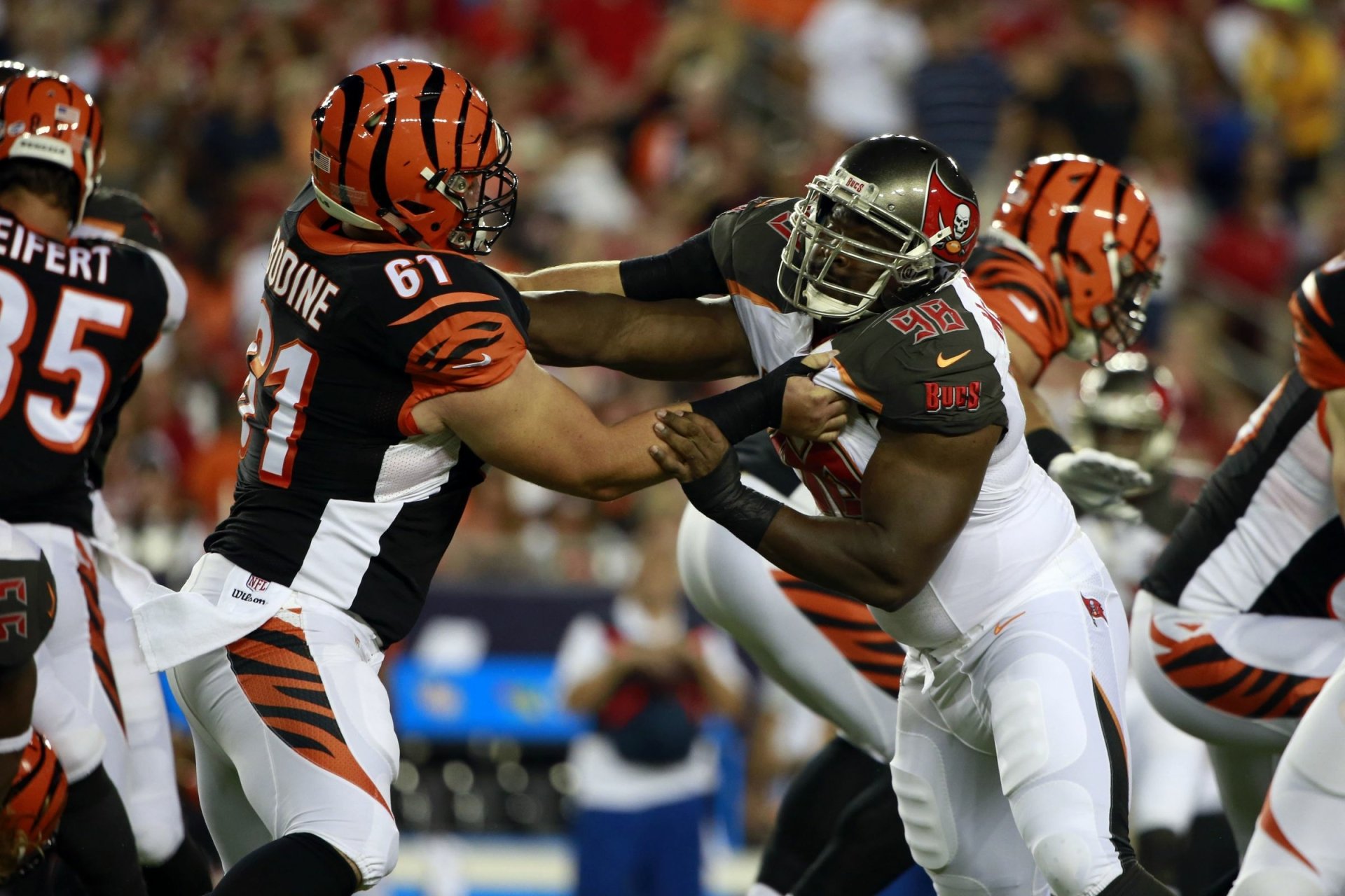 Download Cincinnati Bengals Sports HD Wallpaper