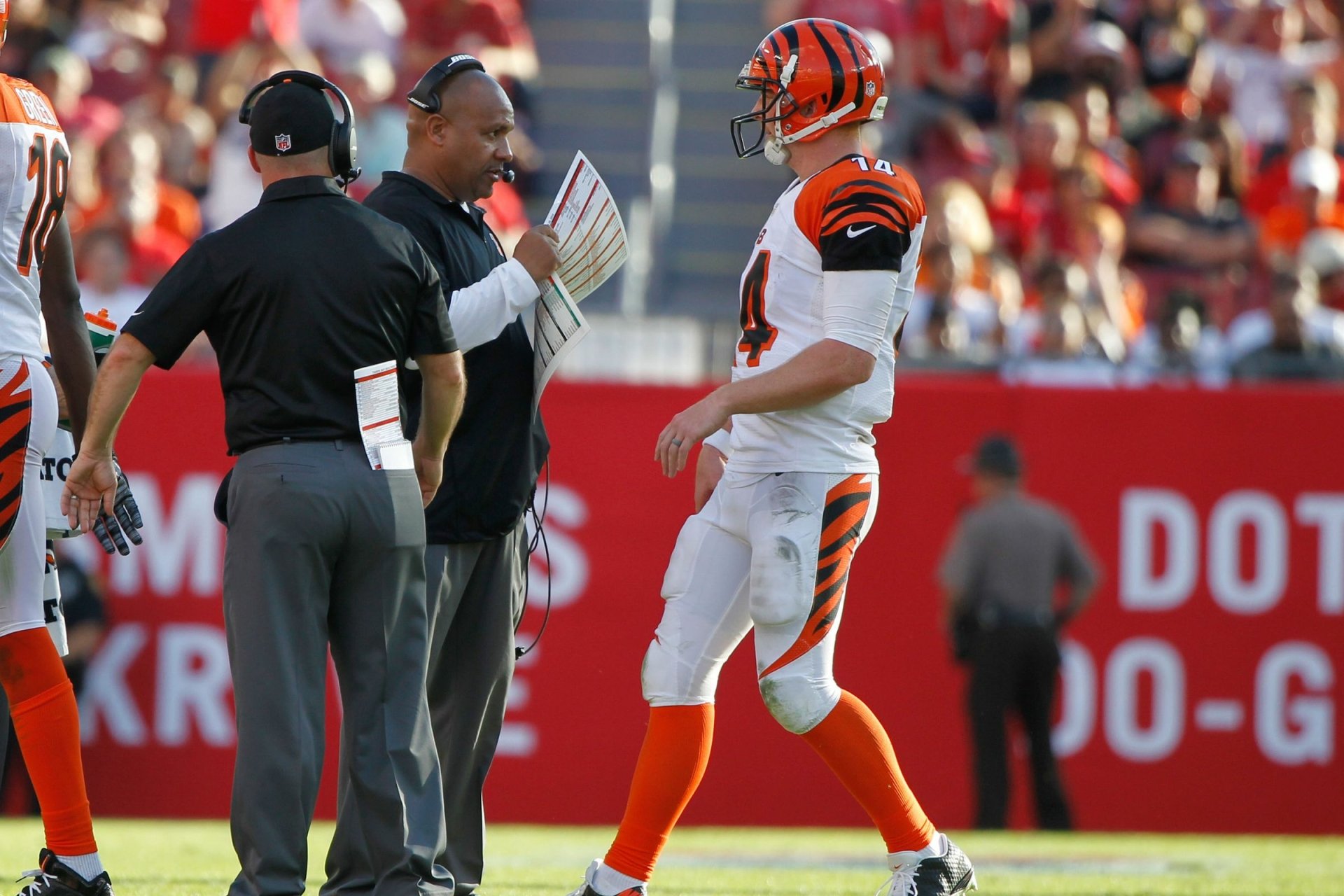 Download Cincinnati Bengals Sports HD Wallpaper