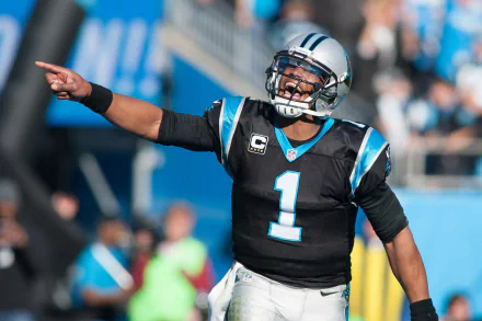 Carolina Panthers - Desktop Wallpapers, Phone Wallpaper, PFP, Gifs, and ...