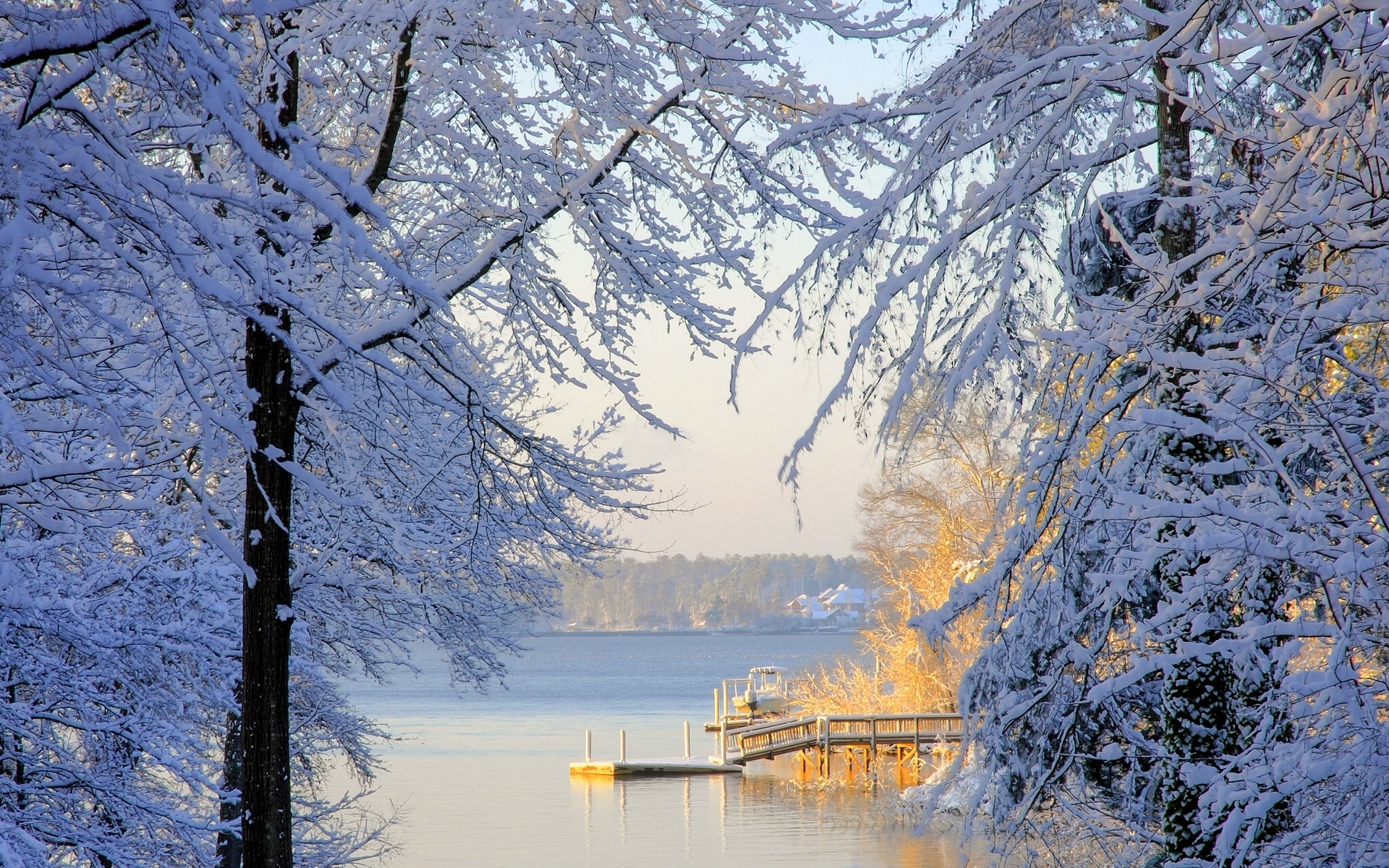 Download Snow Tree Lake Photography Winter HD Wallpaper