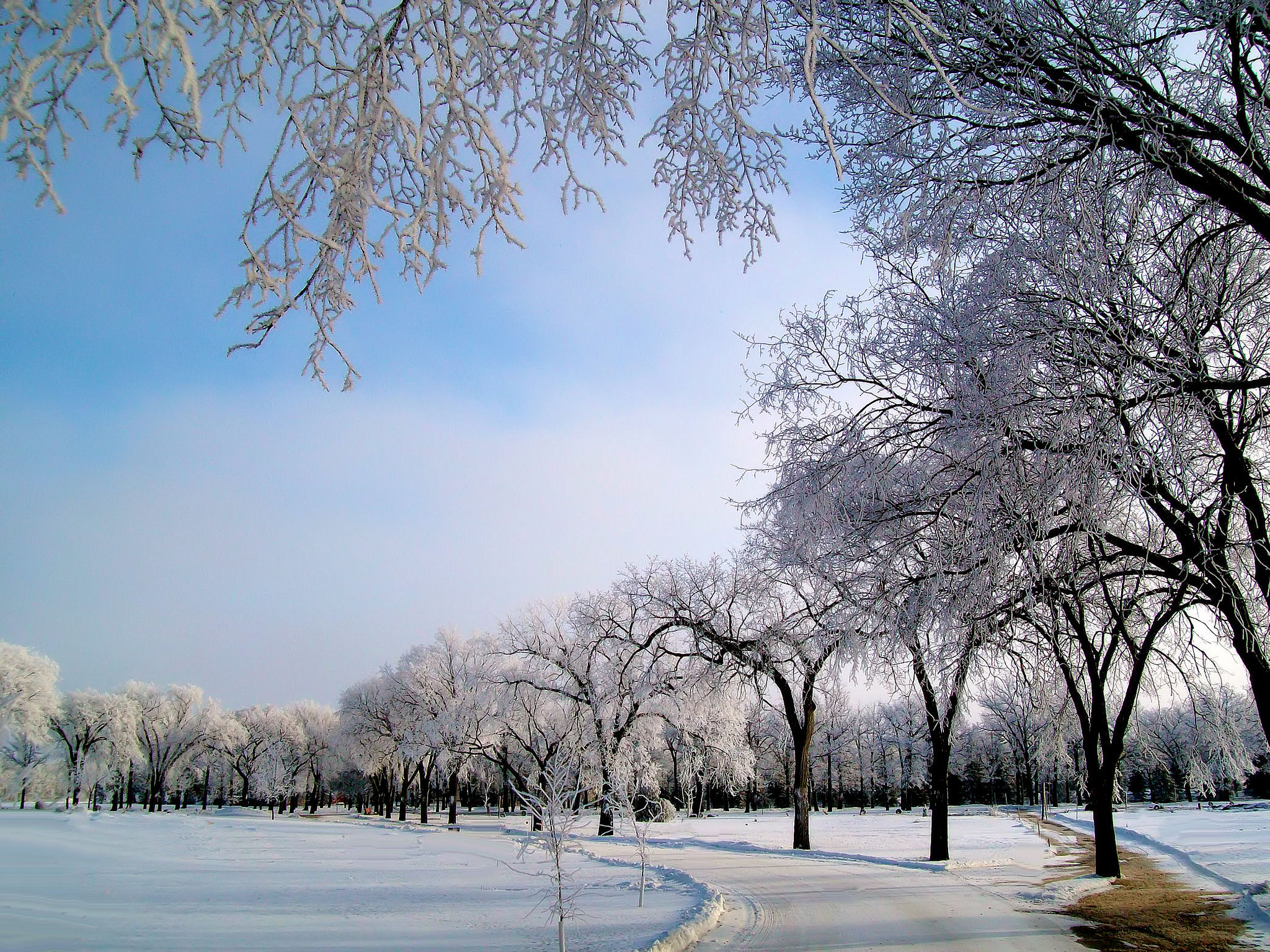 Download Path Park Snow Photography Winter HD Wallpaper