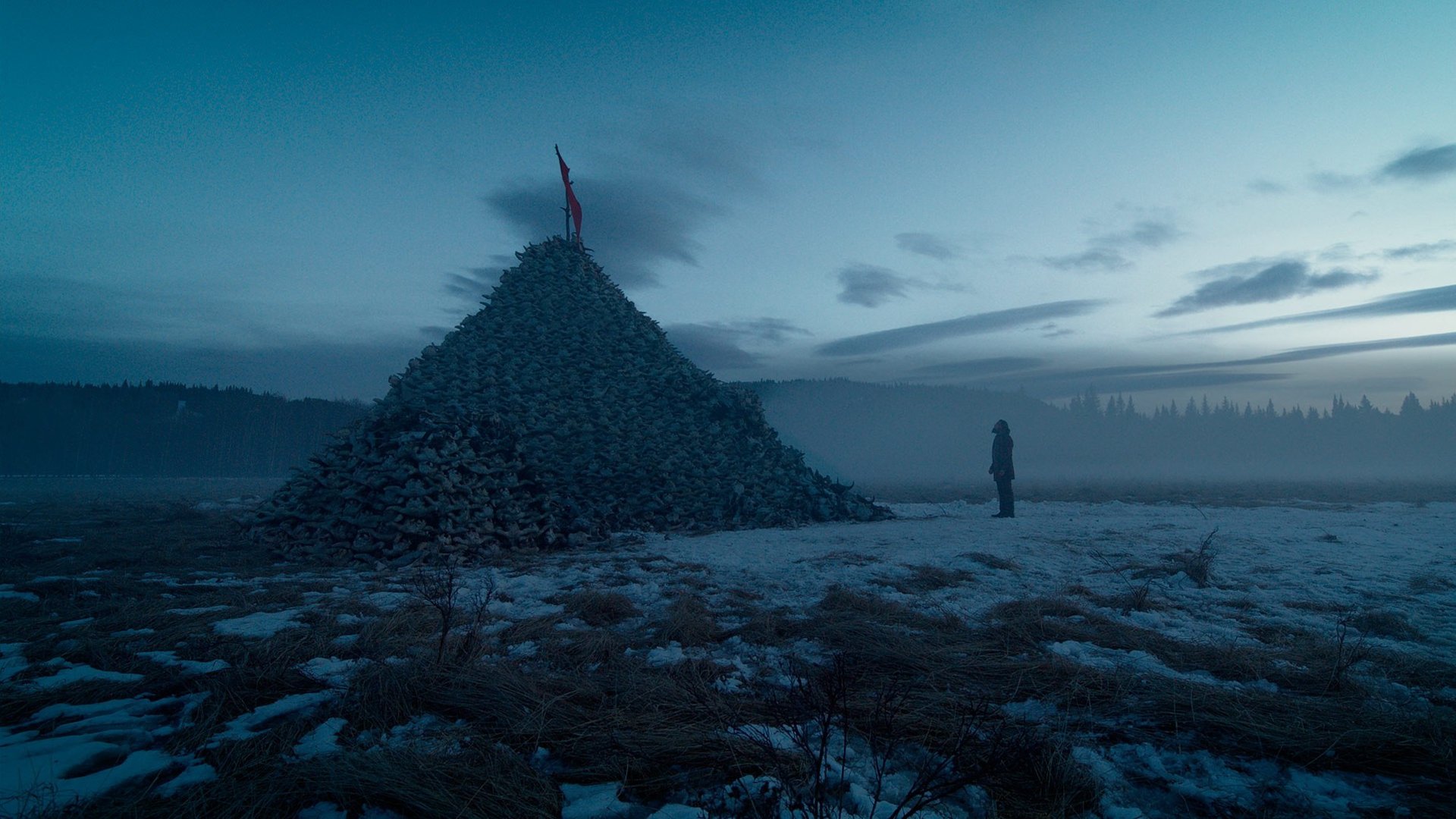 Download Leonardo Dicaprio Movie The Revenant HD Wallpaper