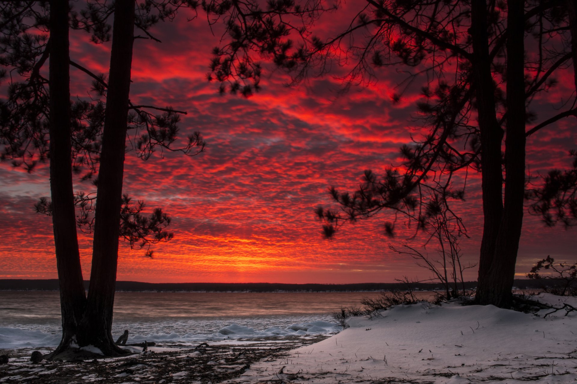 Download Lake Tree Orange (Color) Sky Winter Landscape Nature Sunset HD ...