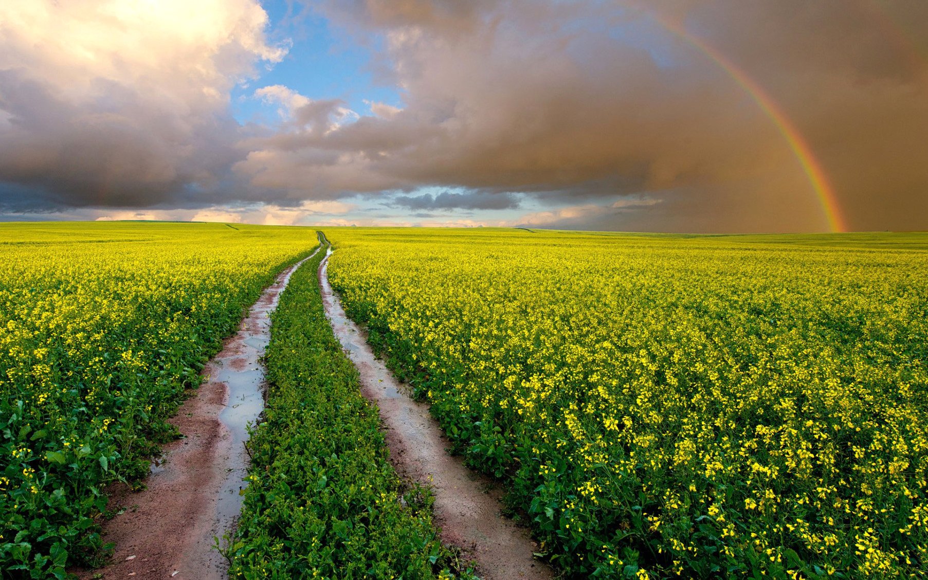 Download Landscape Rainbow Cloud Sky Green Nature Field Wallpaper