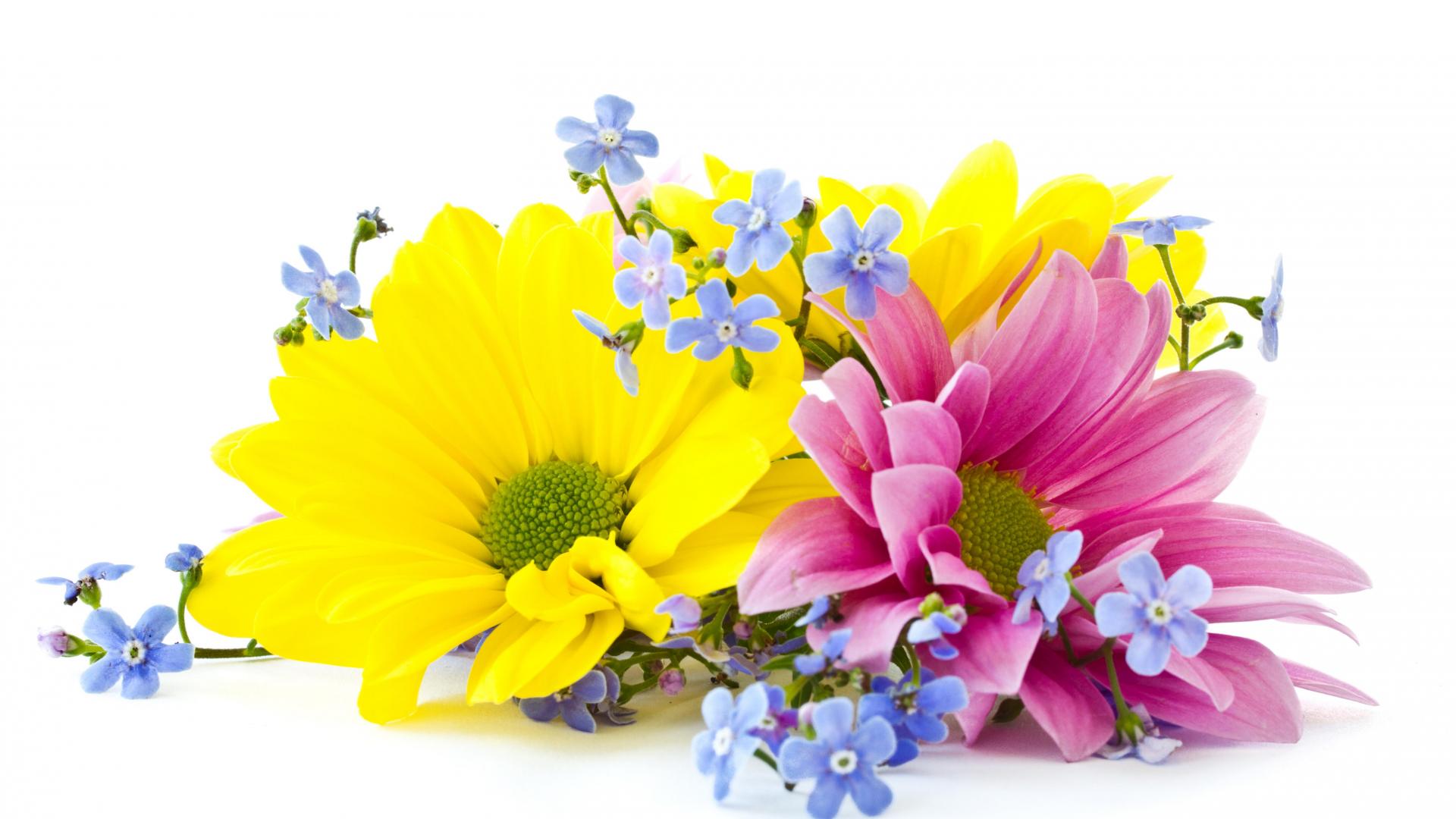 Springtime Flowers