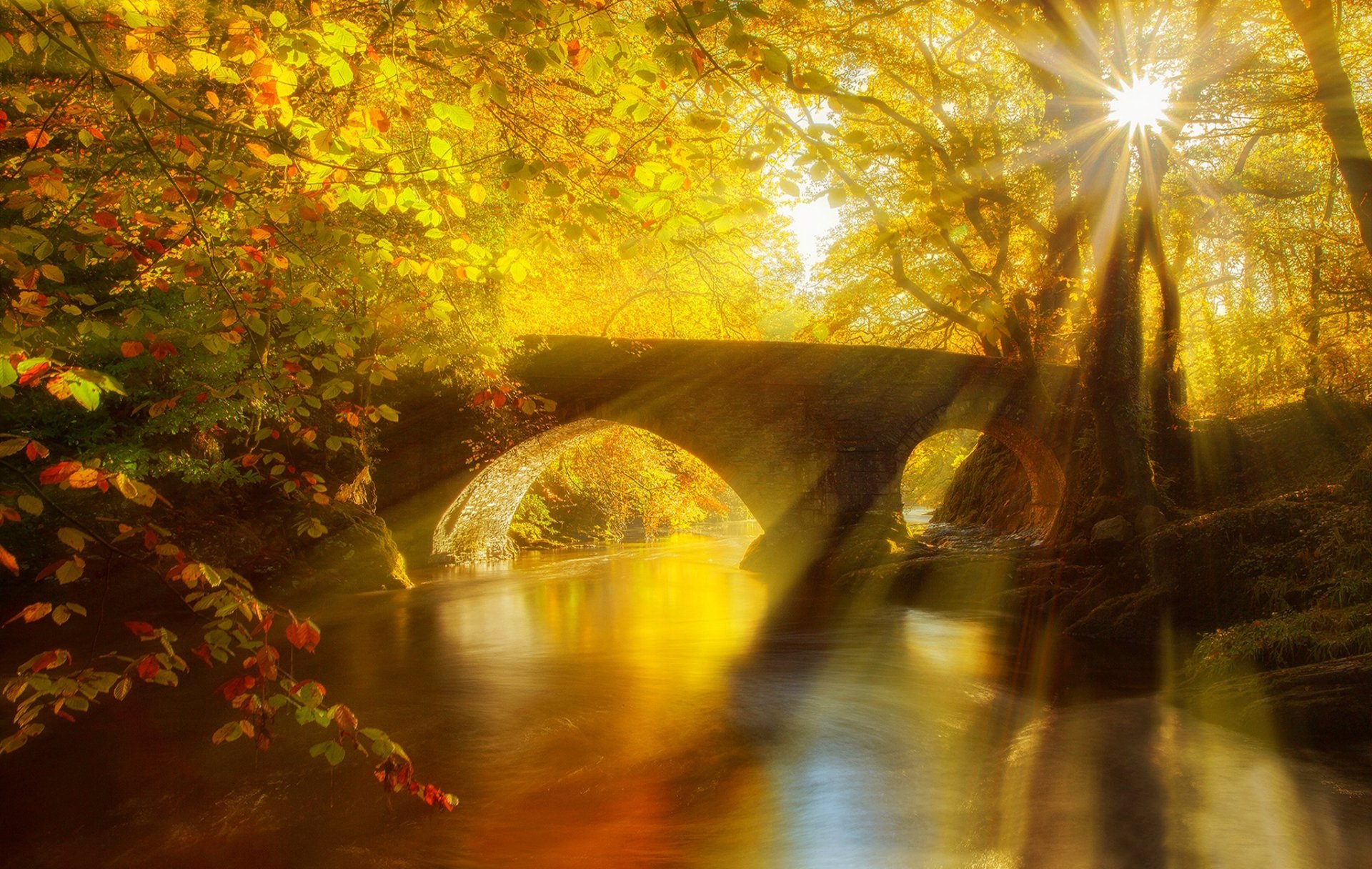 Golden Sunbeam Over Tranquil River Bridge in Autumn Forest