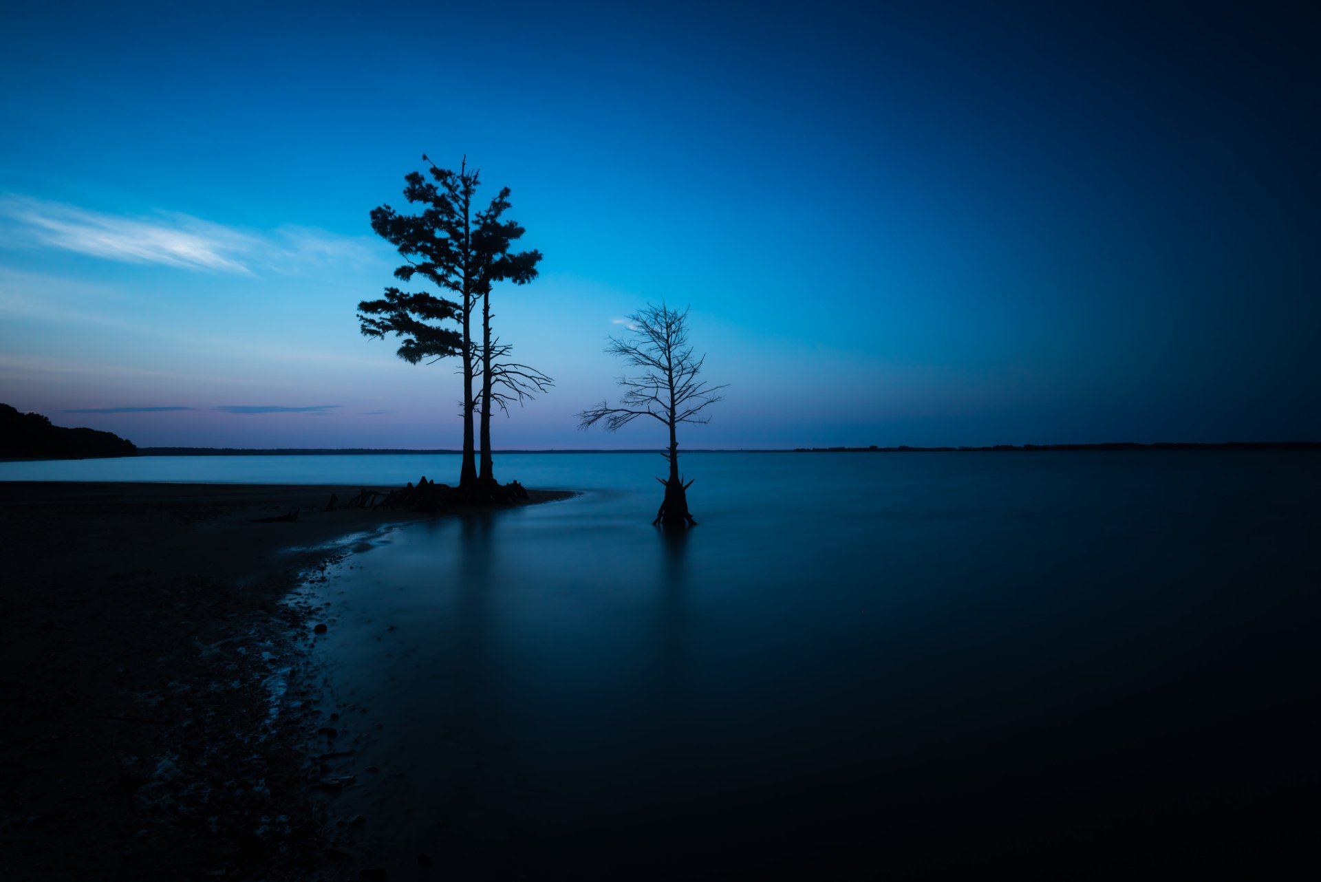 Silent Horizon: Lone Trees Embracing the Midnight Ocean