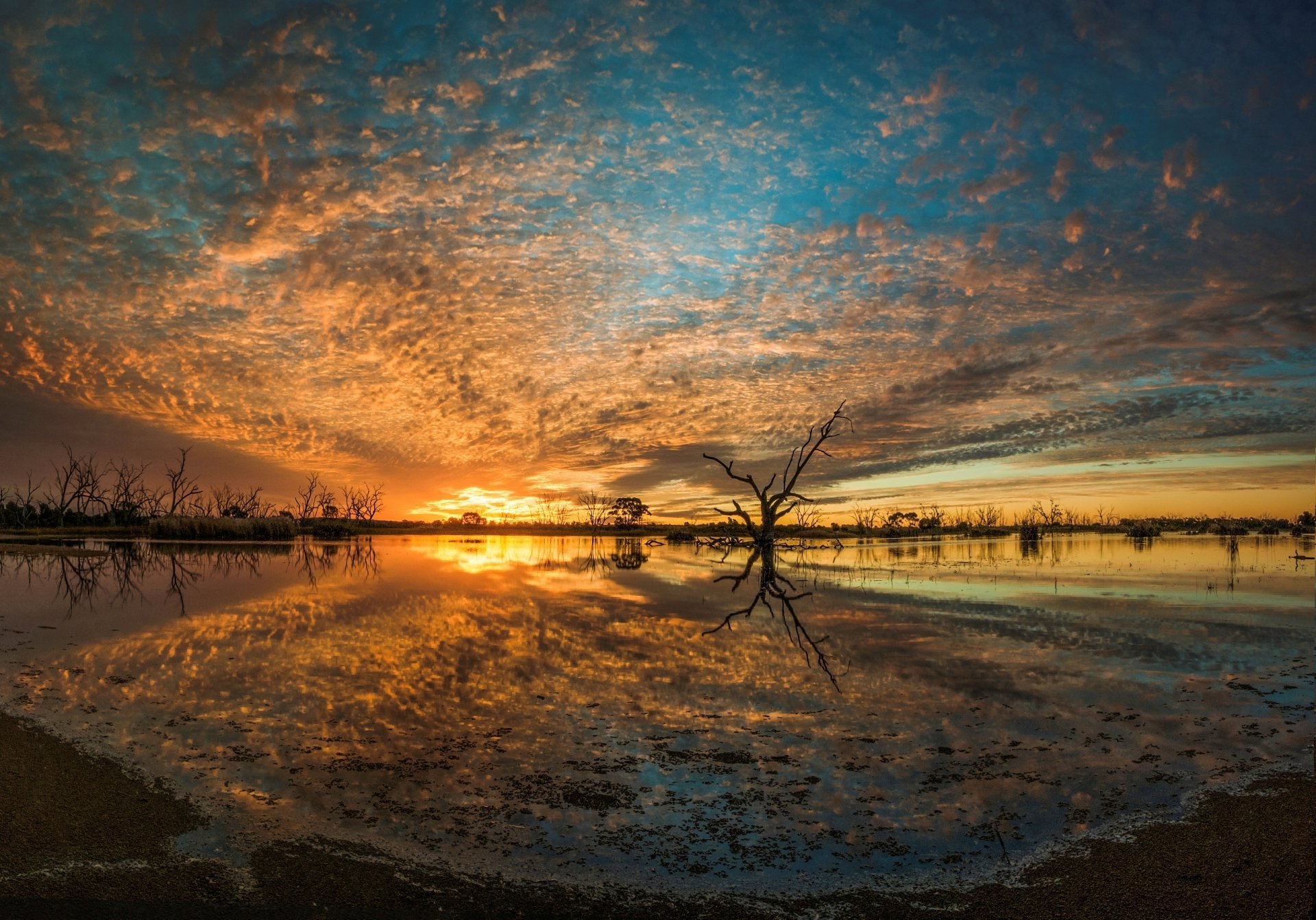 Download Cloud Sky Swamp Australia Landscape Nature River Sunset ...