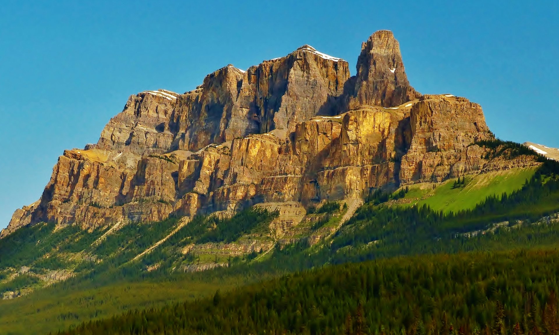 Majestic Alberta Cliffs: Stunning Mountain Forest in Canada’s Natural ...