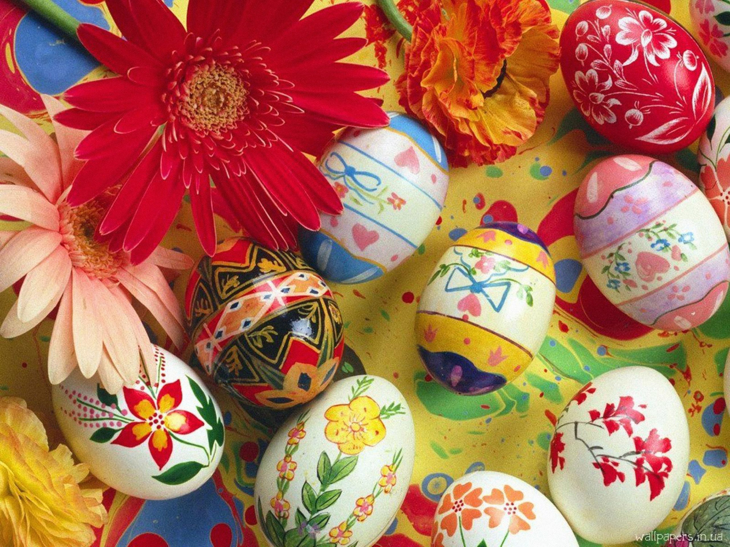 Download Egg Flower Holiday Easter HD Wallpaper