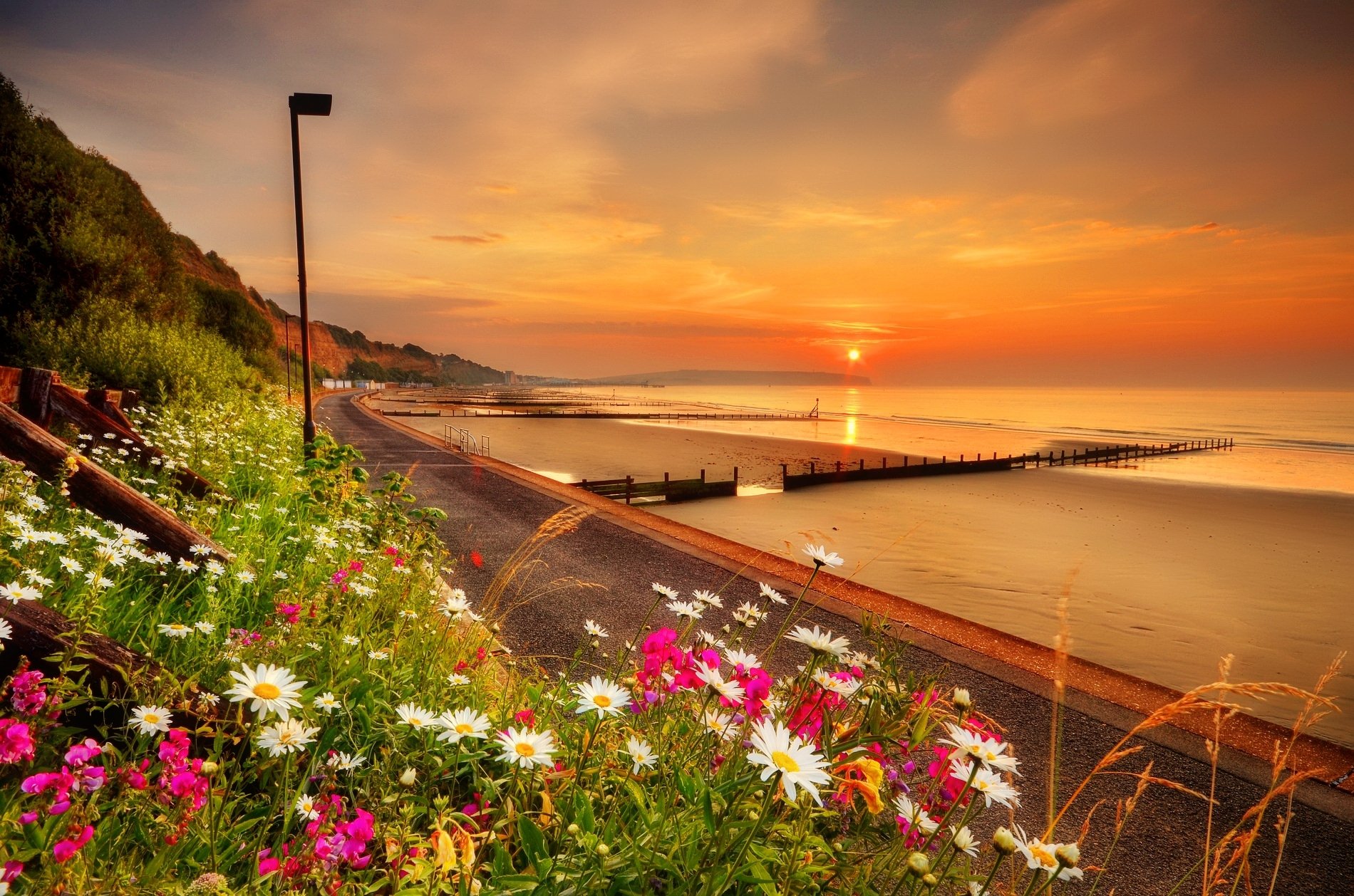 Download Horizon Ocean Sky Sunset Pier Coastline Coast Flower Earth ...