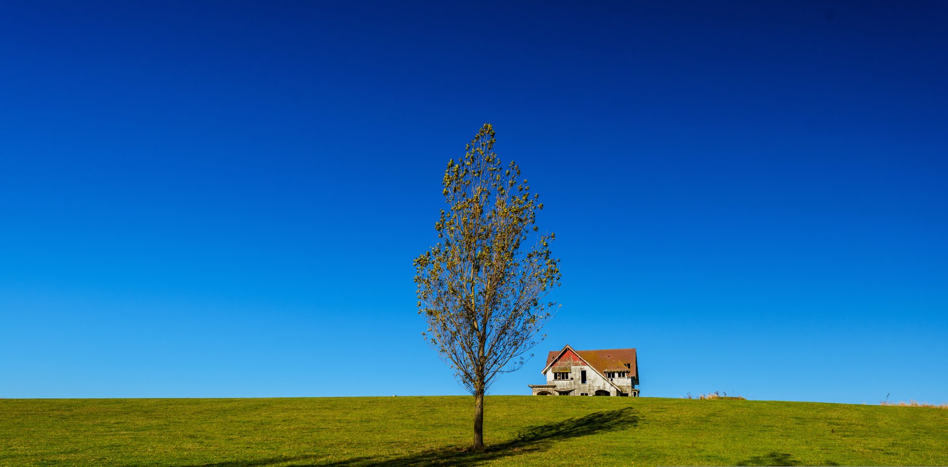 Wallpaper Barn Tree Beauty