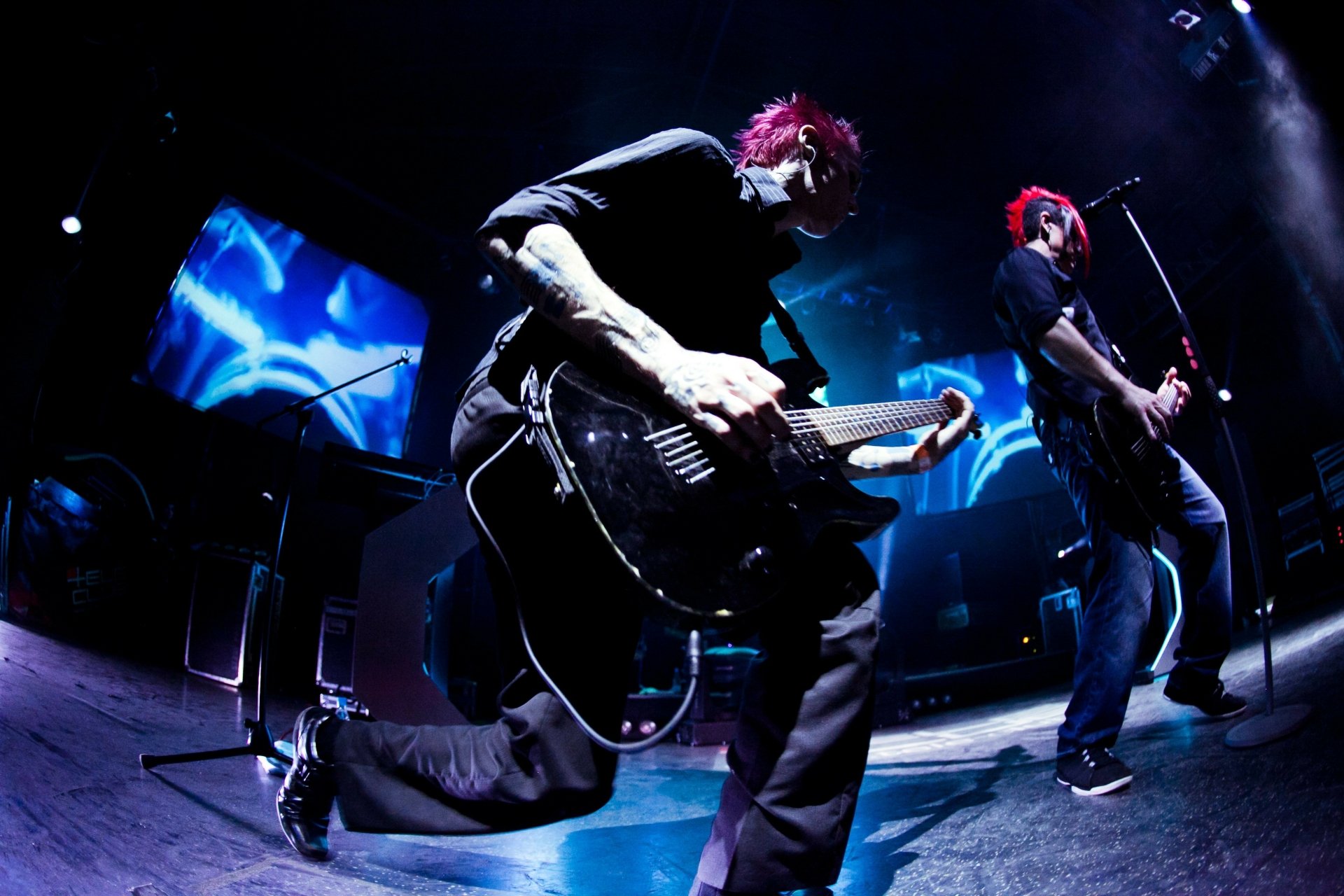 Scandroid's Klayton Shreds: 4K Ultra HD Guitar Music Live Energy